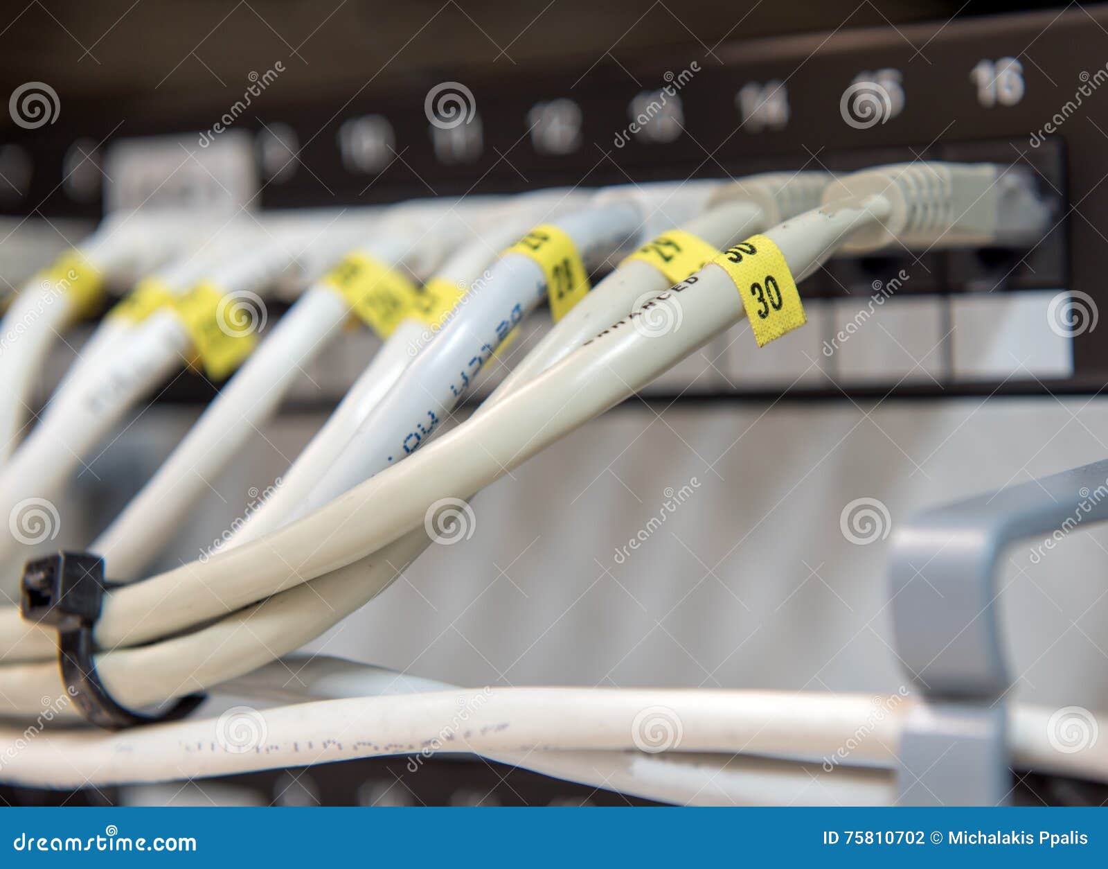 Computer Ethernet Data Lan Cables in a Row. Stock Photo - Image of ...