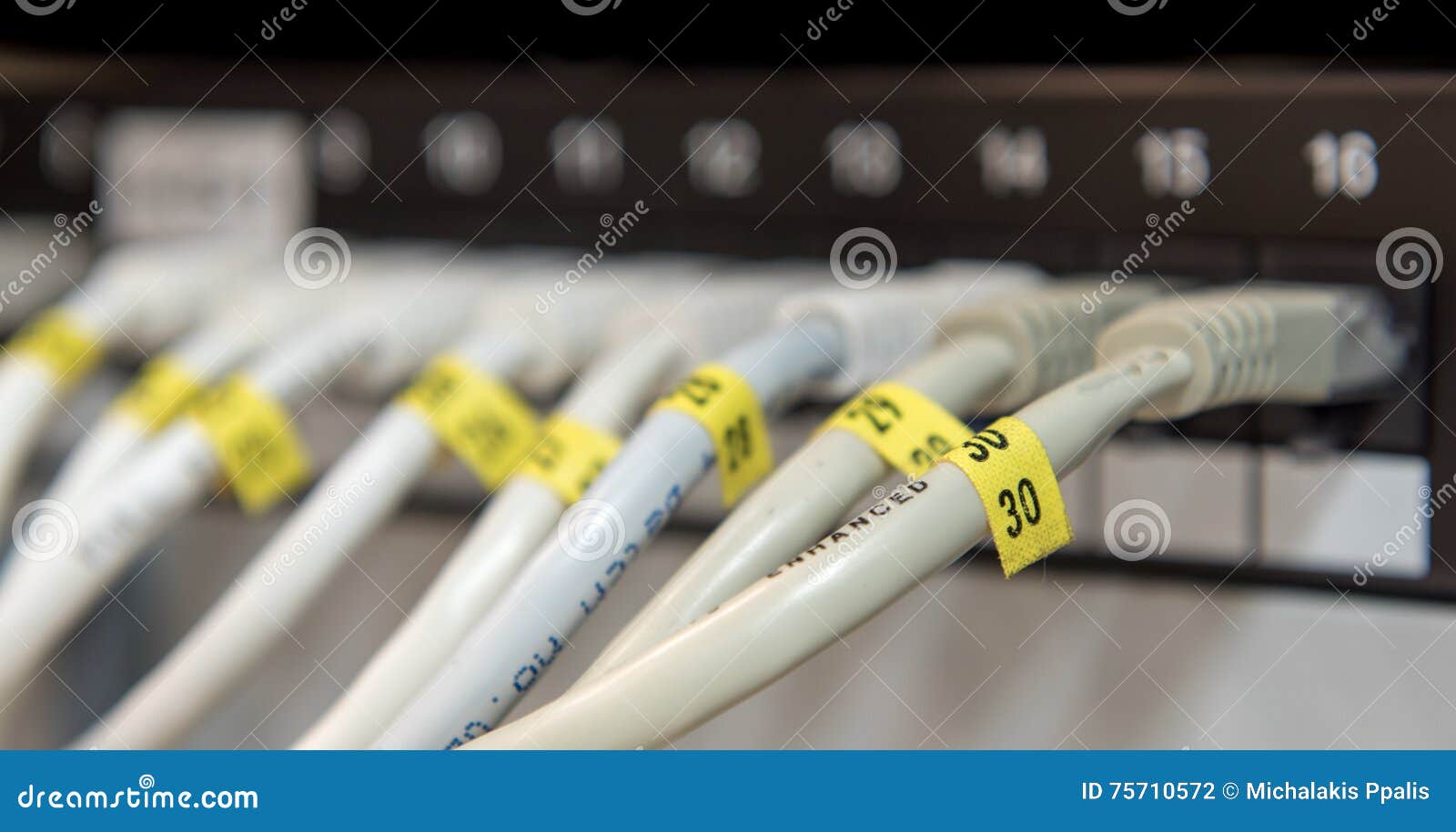 Computer Ethernt Data Lan Cables in a Row. Stock Photo - Image of ...