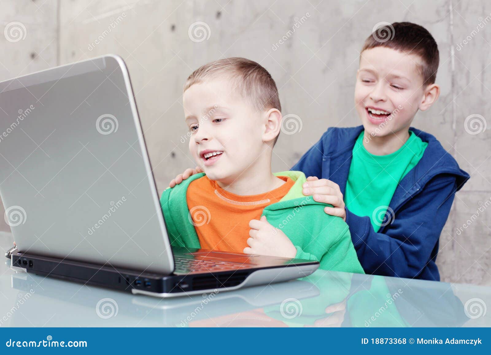 Computer fun stock photo. Image of school, brothers, laptop - 18873368