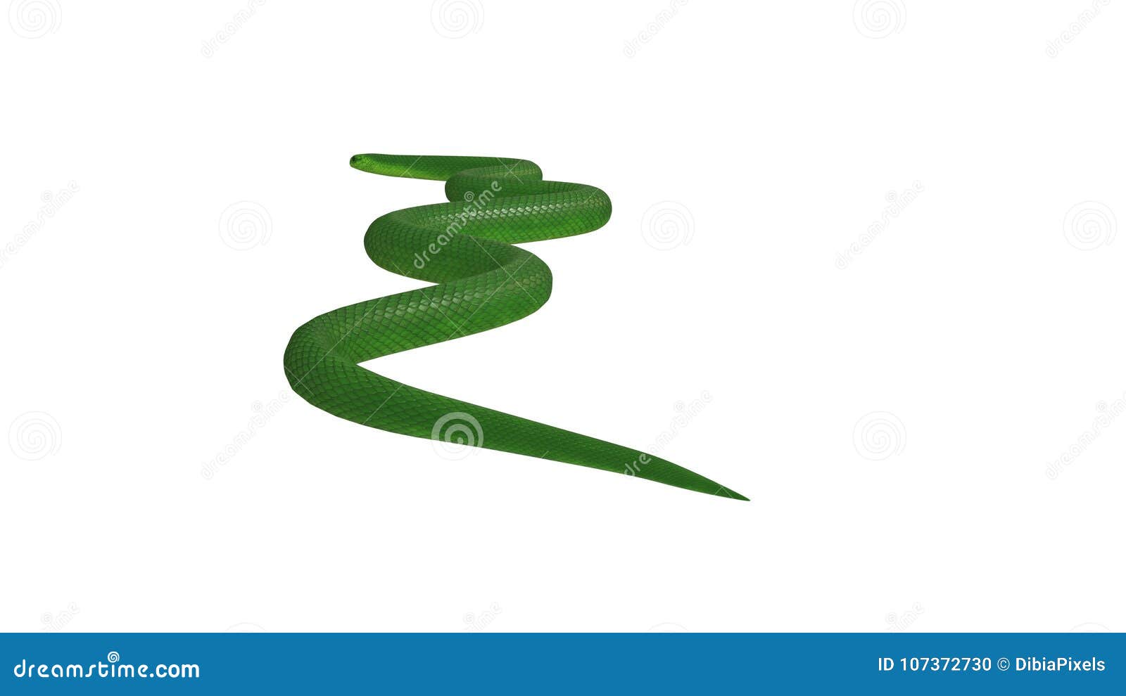 Realistic 3D Animation of a Crawling Green Mamba Stock Footage - Video ...