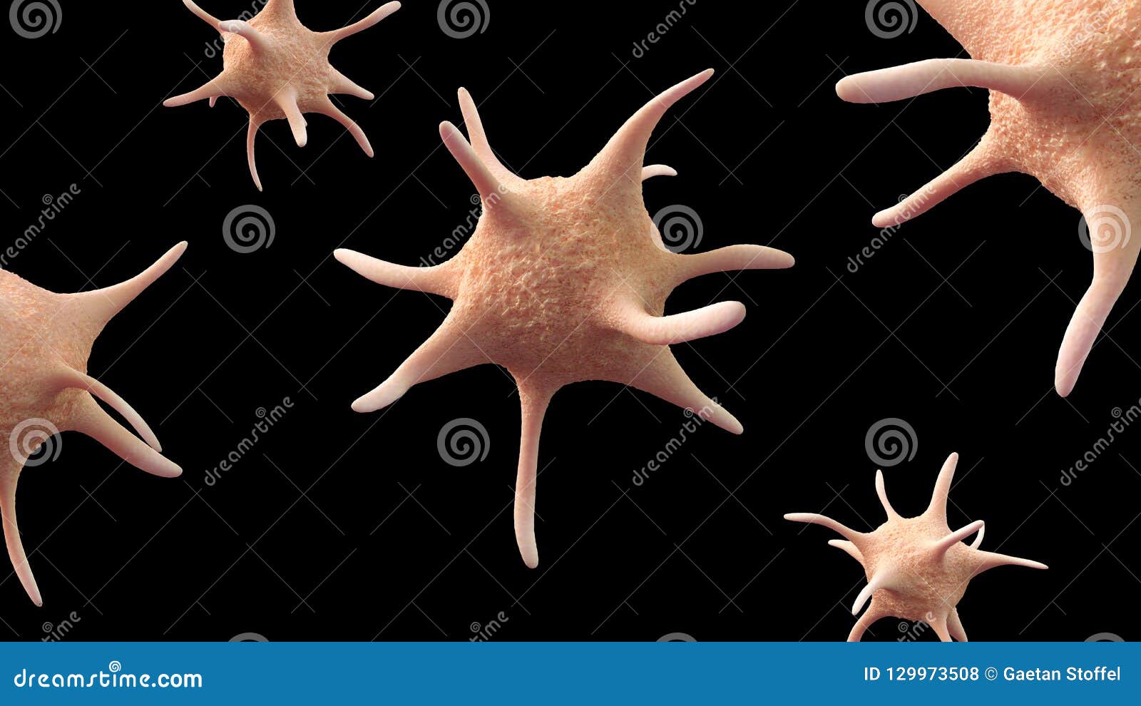 3D Illustration of Blood Platelet Stock Illustration - Illustration of ...