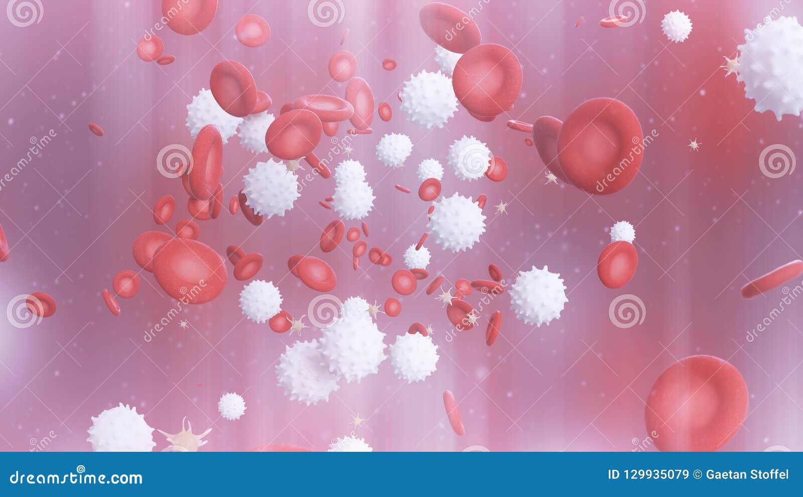 3D Illustration of a Blood with Red Cell White Cell and Platelet Stock ...