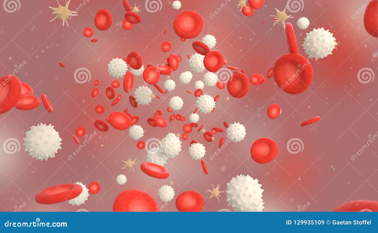 3D Illustration of a Blood with Red Cell White Cell and Platelet Stock ...