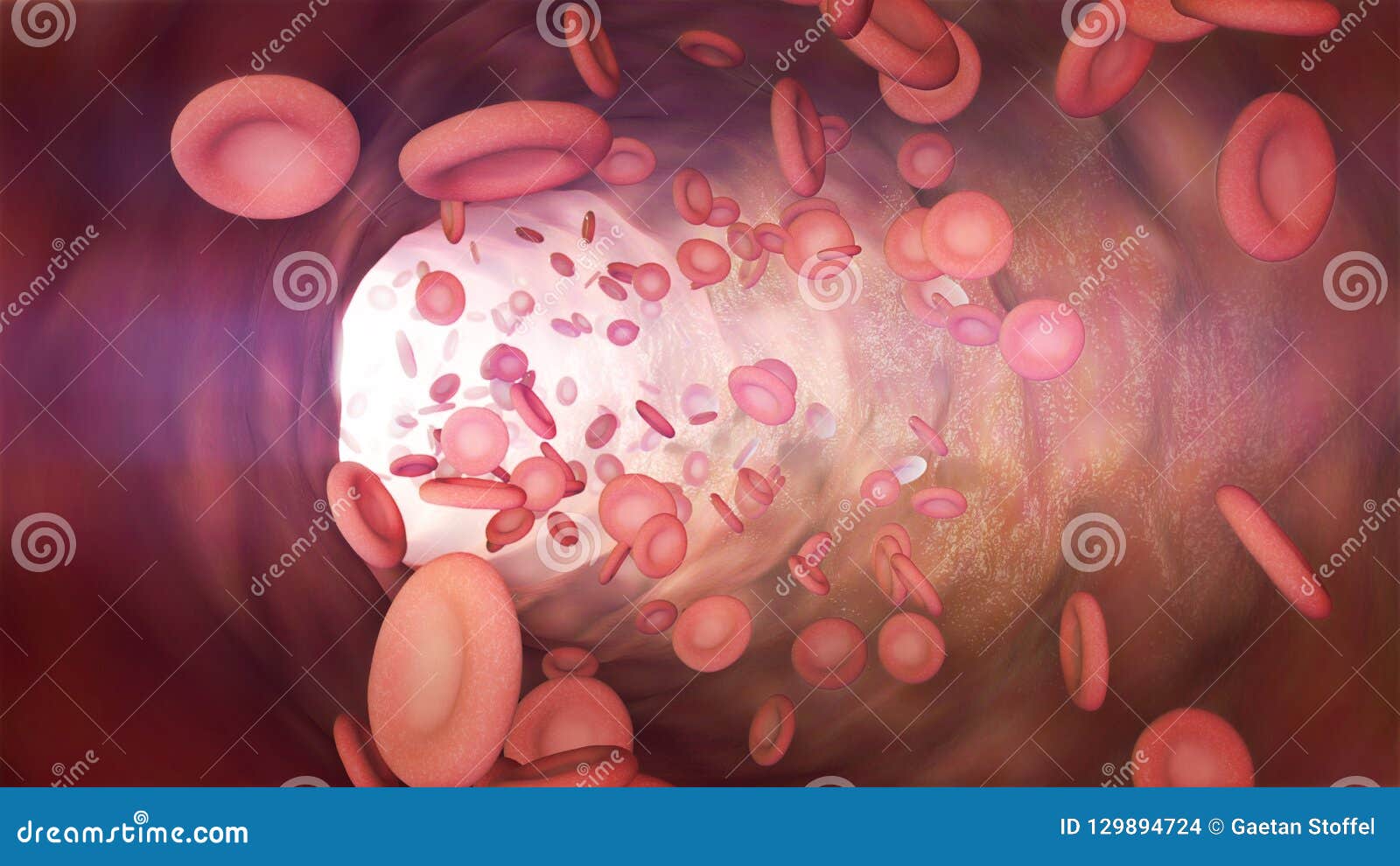 3D Illustration of a Bloodstream with Red Cell White Cell and Platelet ...