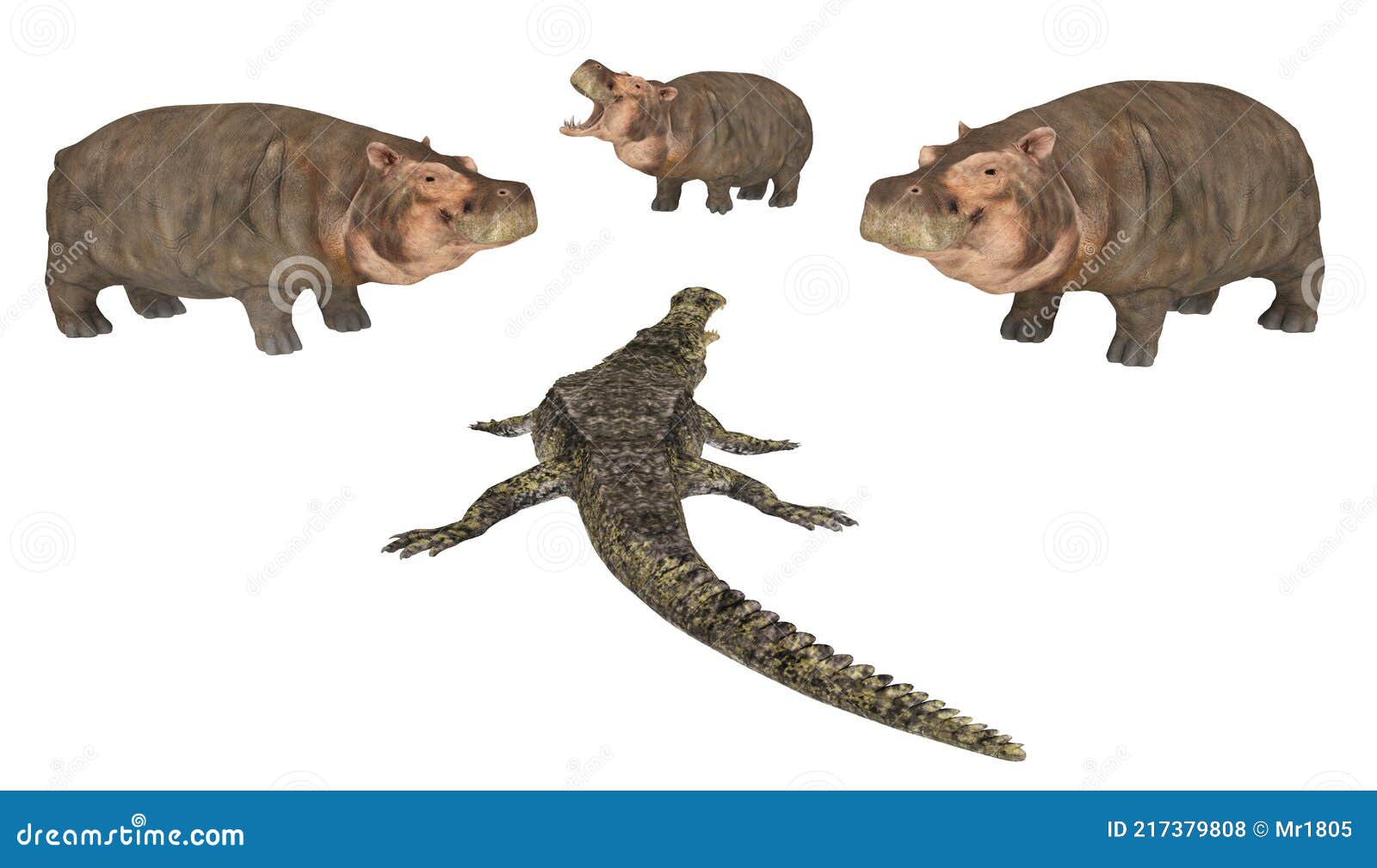 Crocodile and Hippos stock illustration. Illustration of hippo - 217379808