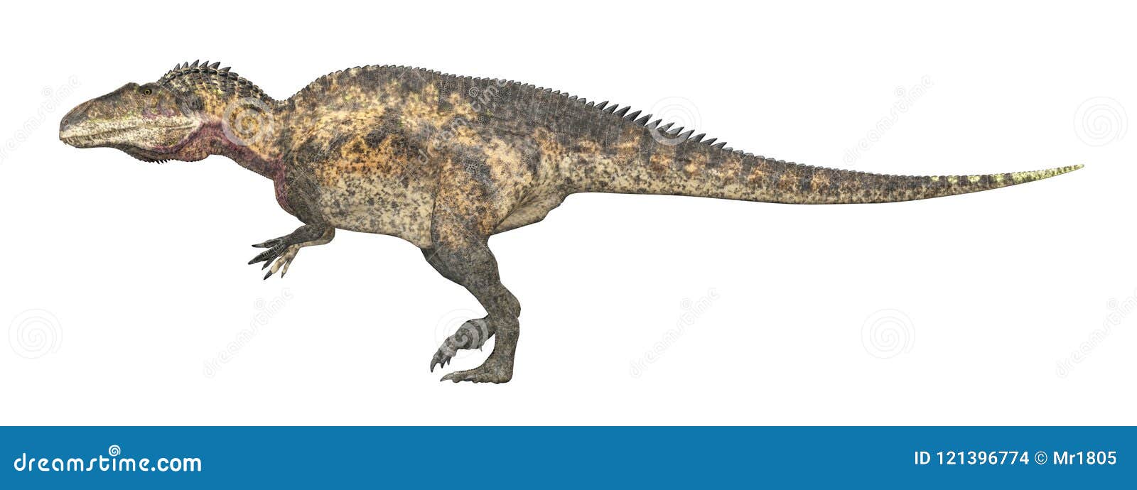 Acrocanthosaurus On White Royalty-Free Stock Image | CartoonDealer.com ...