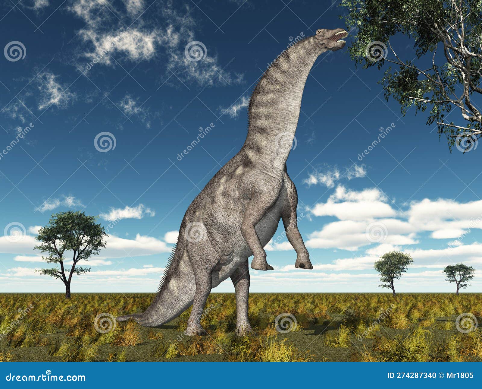 Dinosaur Amargasaurus stock illustration. Illustration of lizard ...