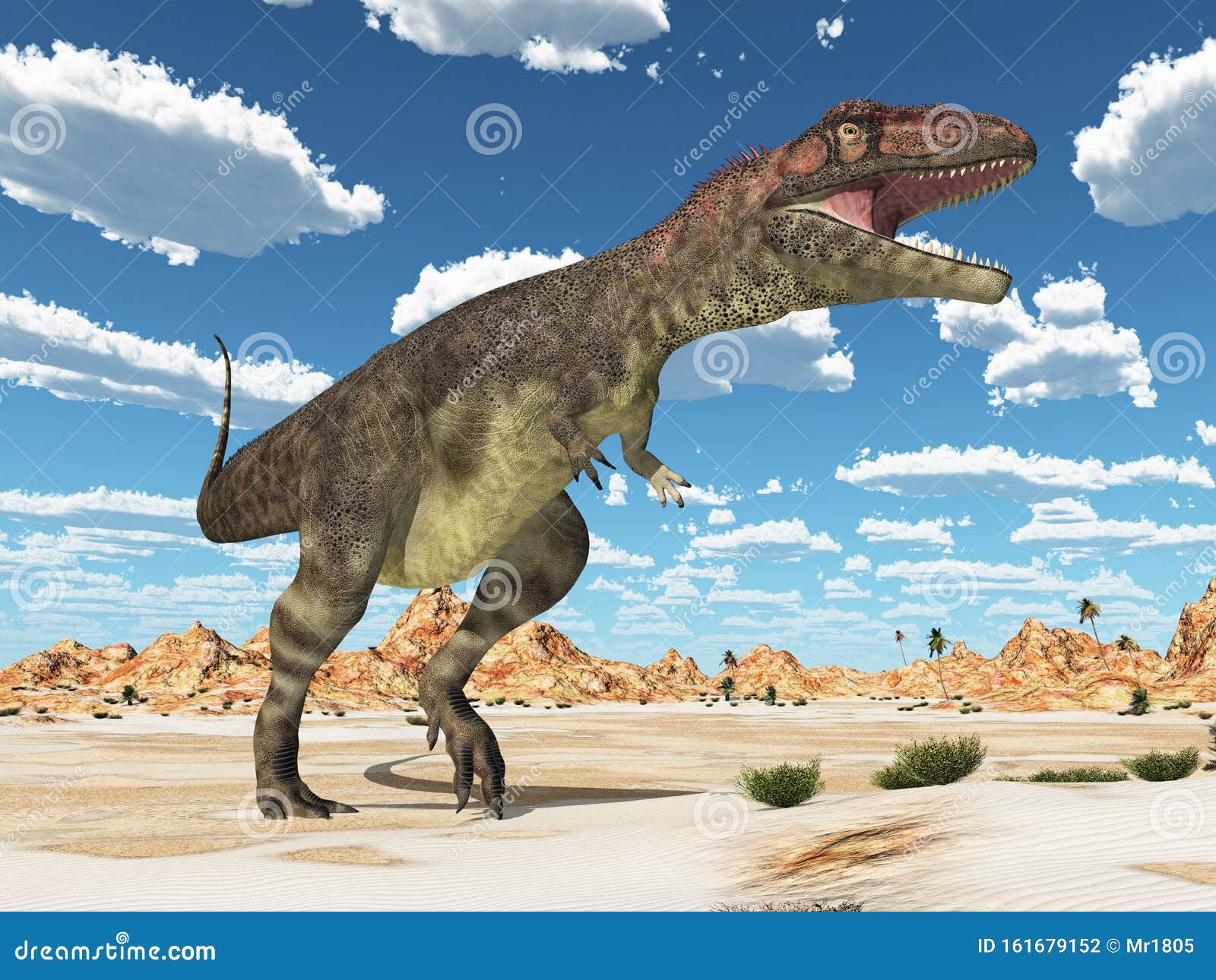 Dinosaur Mapusaurus Isolated On White Background Stock Illustration ...