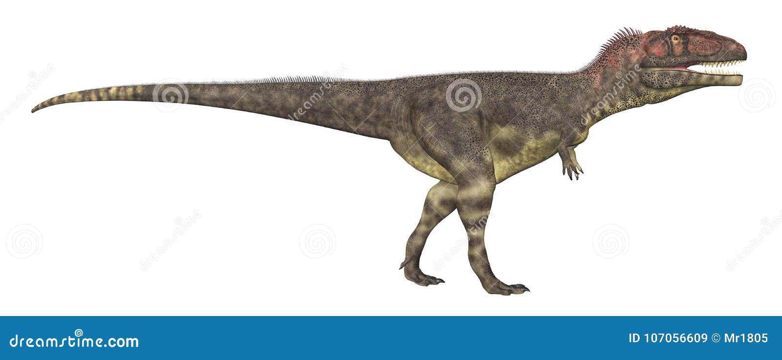 Dinosaur Mapusaurus Stock Illustration | CartoonDealer.com #128753578