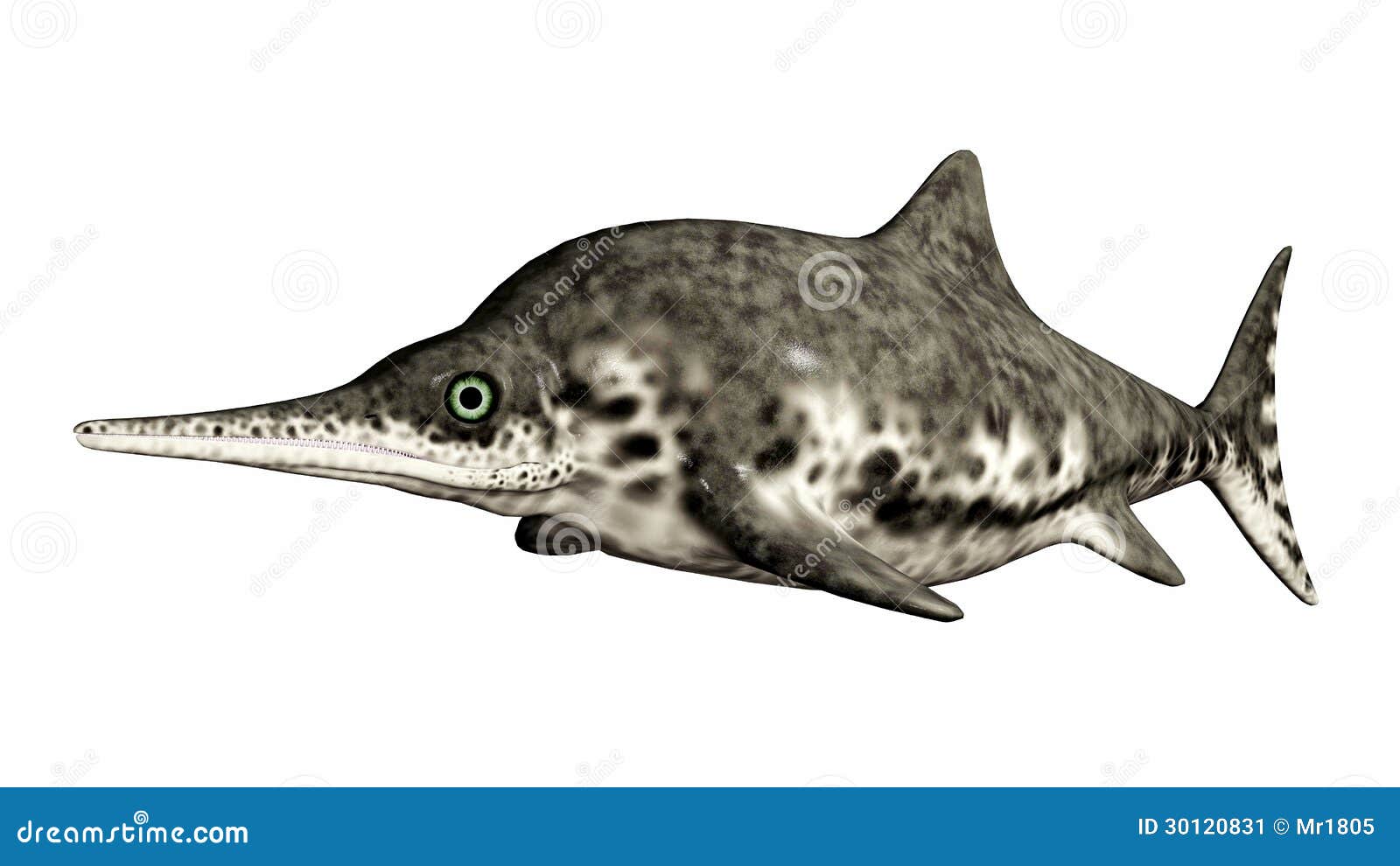 Stenopterygius Ichthyosaur Head Royalty-Free Stock Photography ...