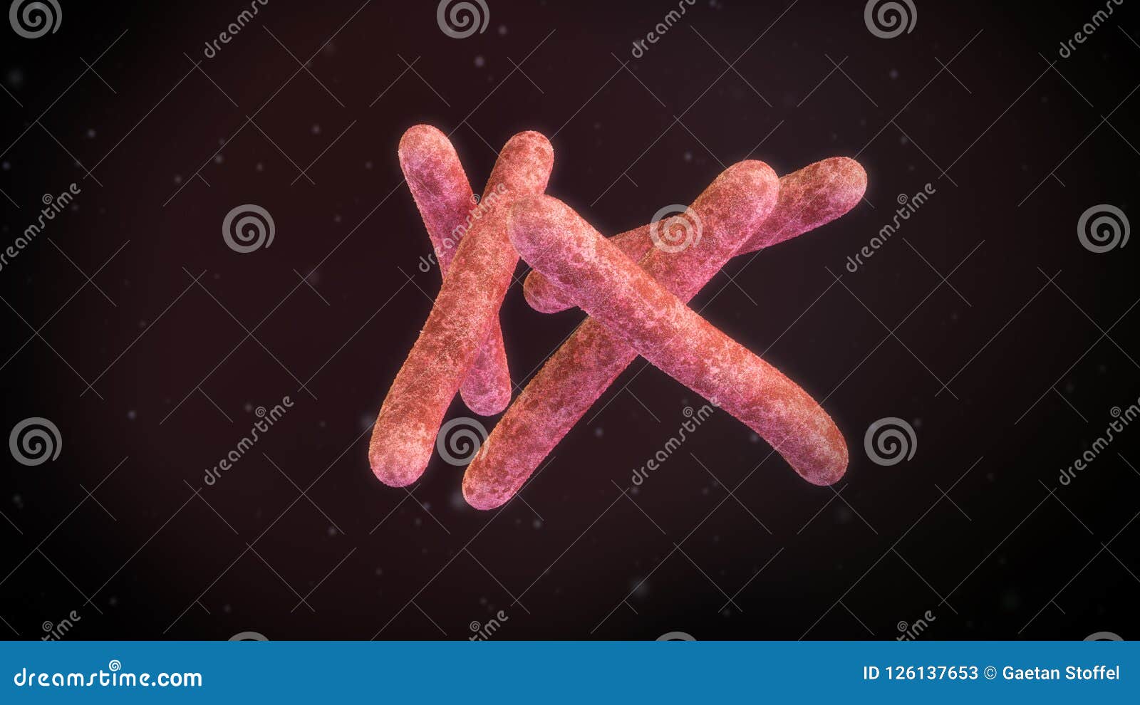 3d Illustration of a Mycobacterium Tuberculosis Bacteria Stock ...