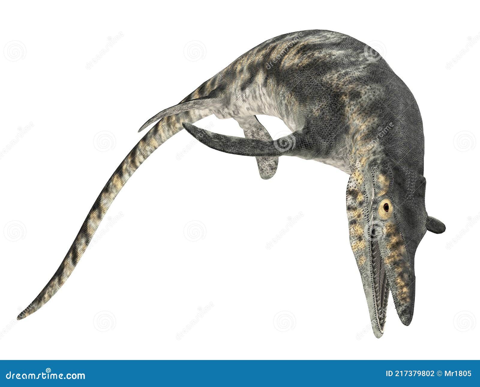 Mosasaur Tylosaurus Isolated on White Background Stock Illustration ...