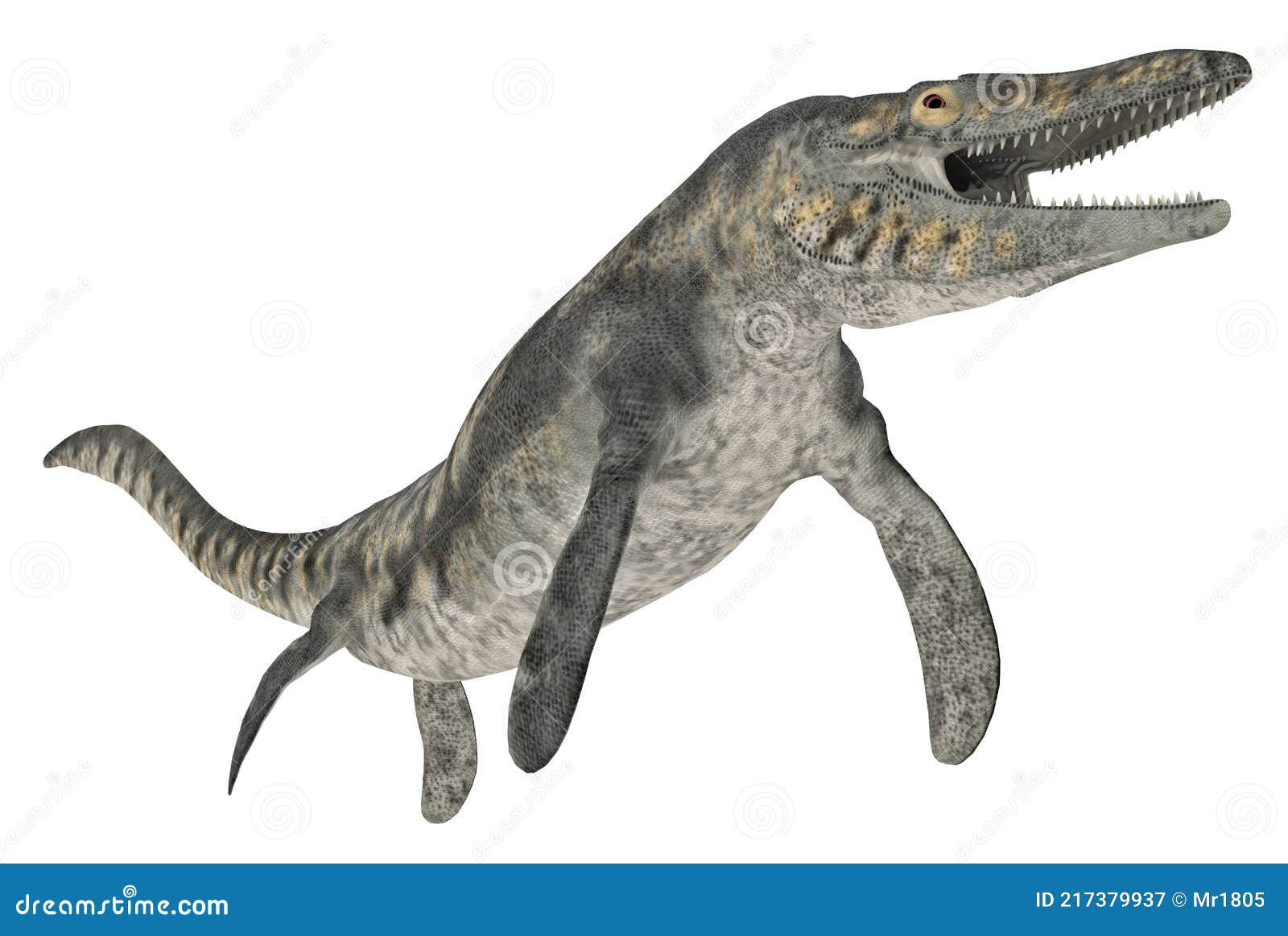 Mosasaur Tylosaurus Isolated on White Background Stock Illustration ...