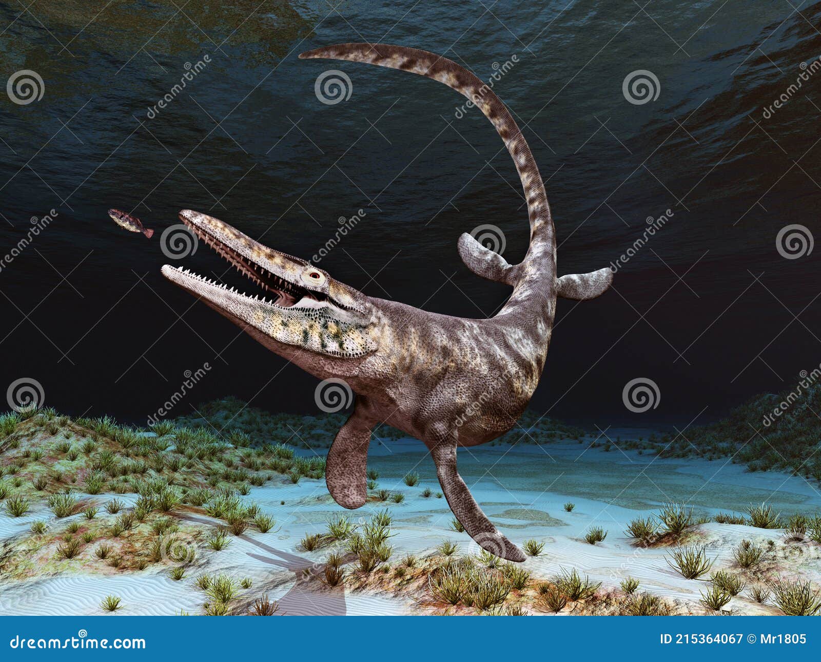 Mosasaur Tylosaurus stock illustration. Illustration of mosasaur ...