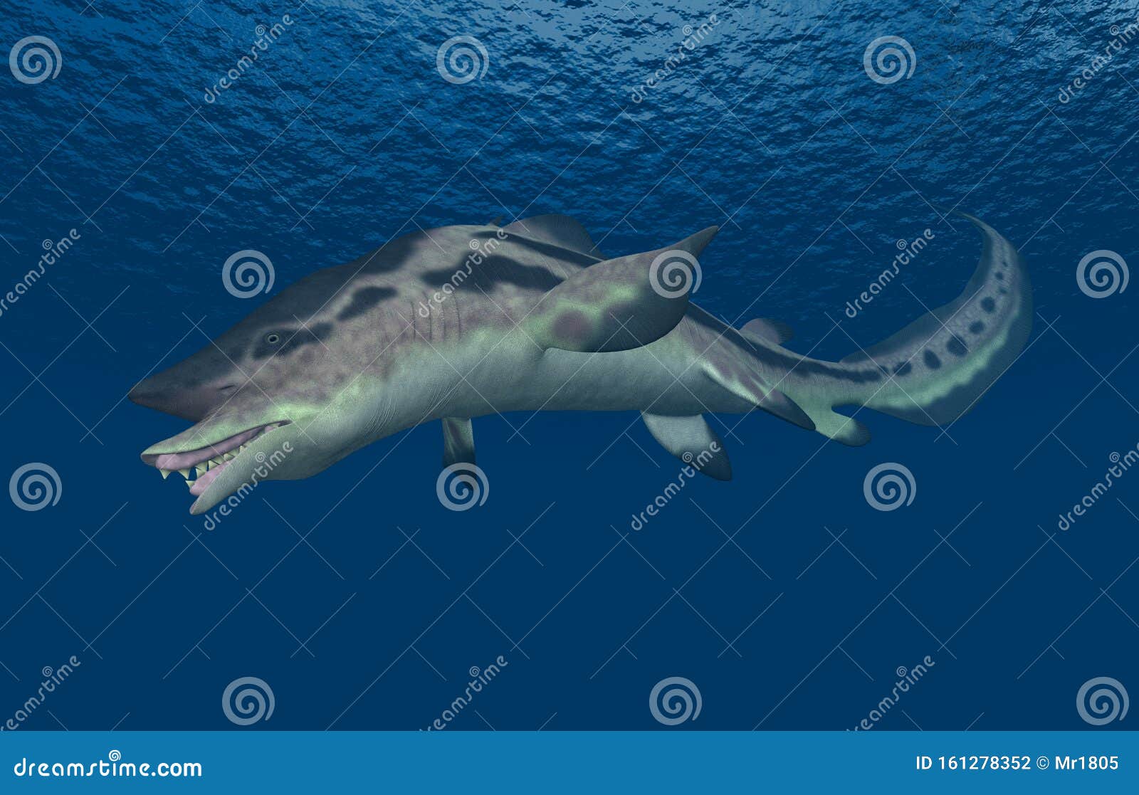 Prehistoric shark Edestus stock illustration. Illustration of ocean ...