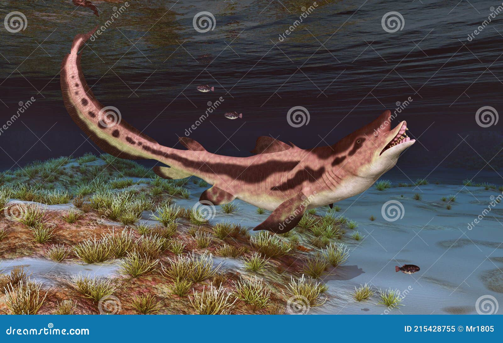 Prehistoric shark Edestus stock illustration. Illustration of animal ...