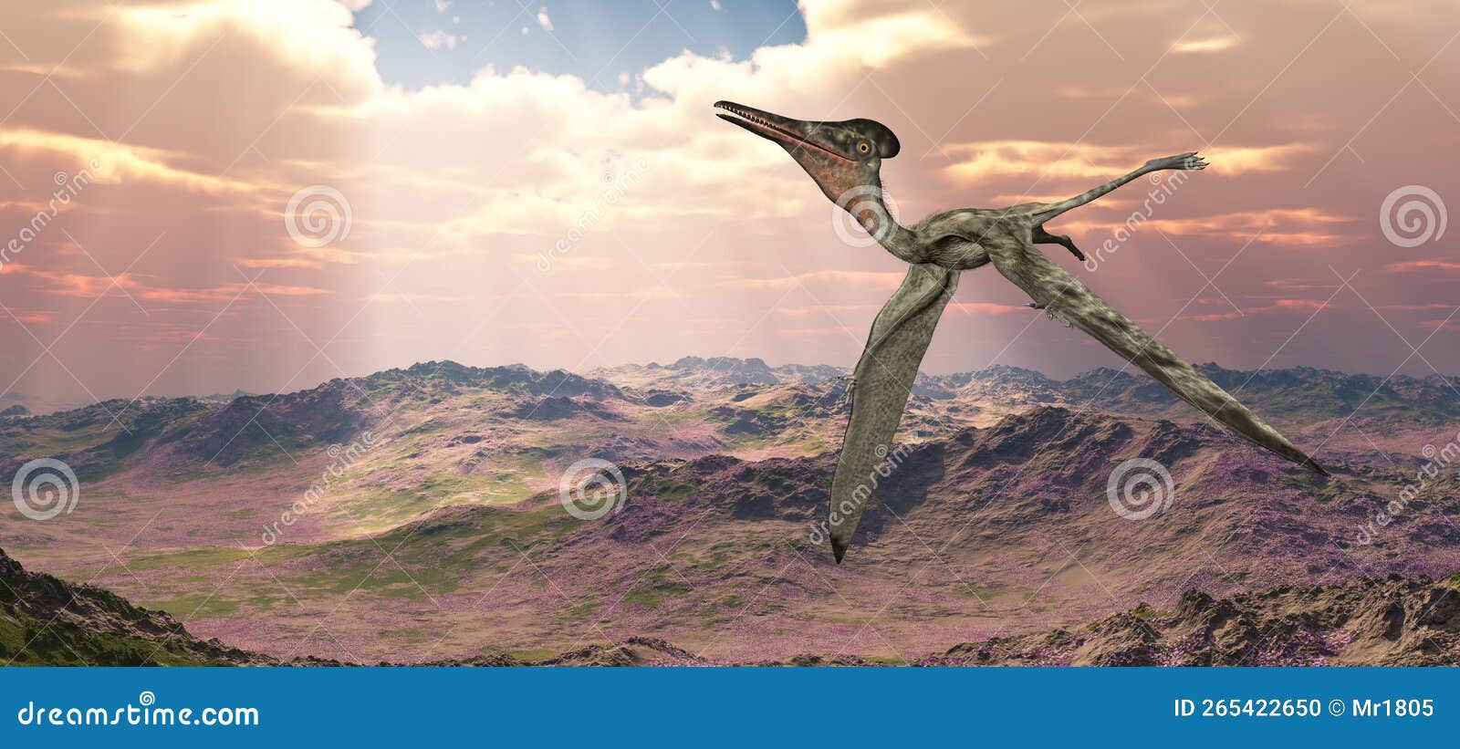 Pterosaur Pterodactylus Flying Over a Barren Landscape Stock ...