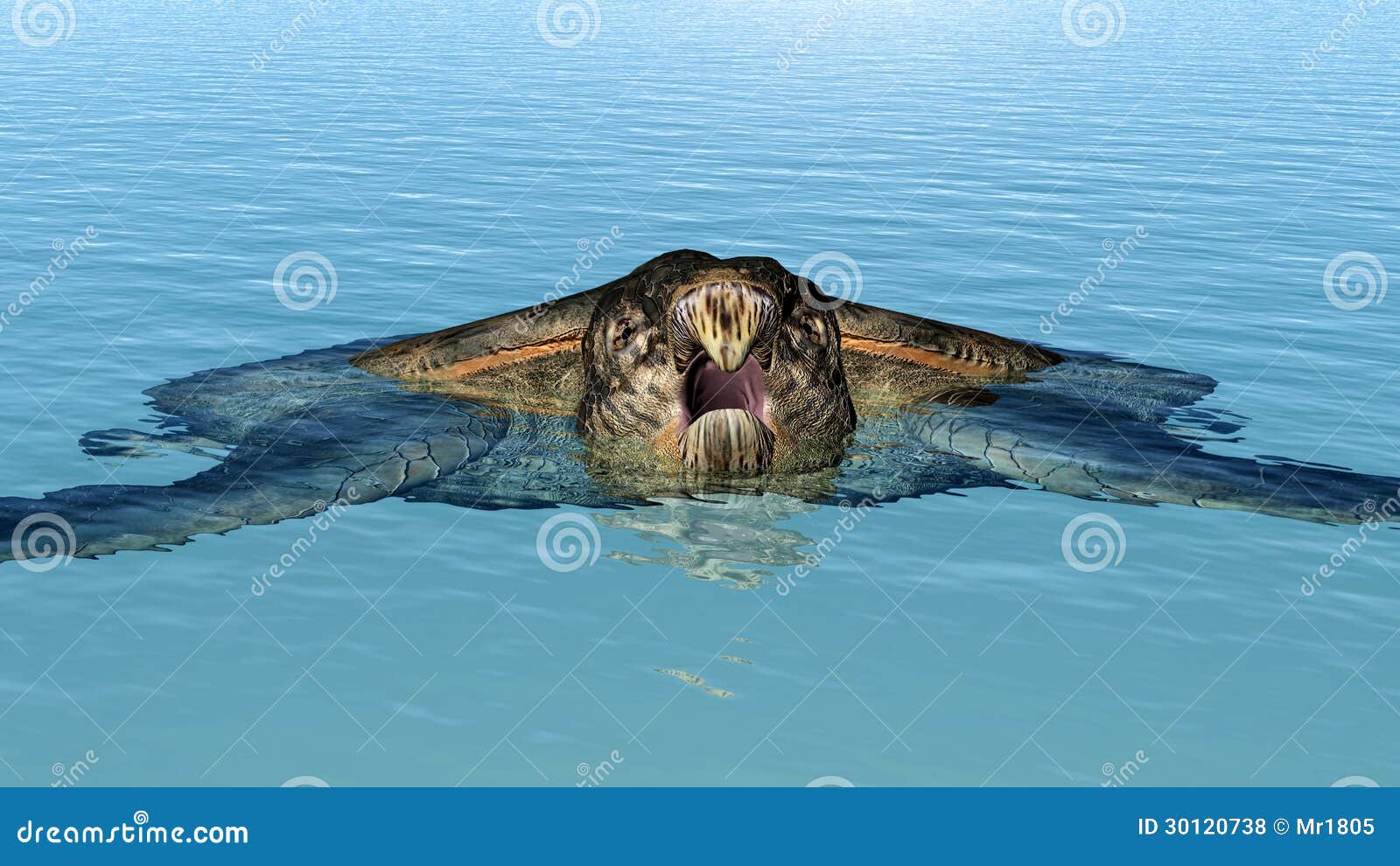 Archelon stock illustration. Illustration of armor, paleontology - 30120738