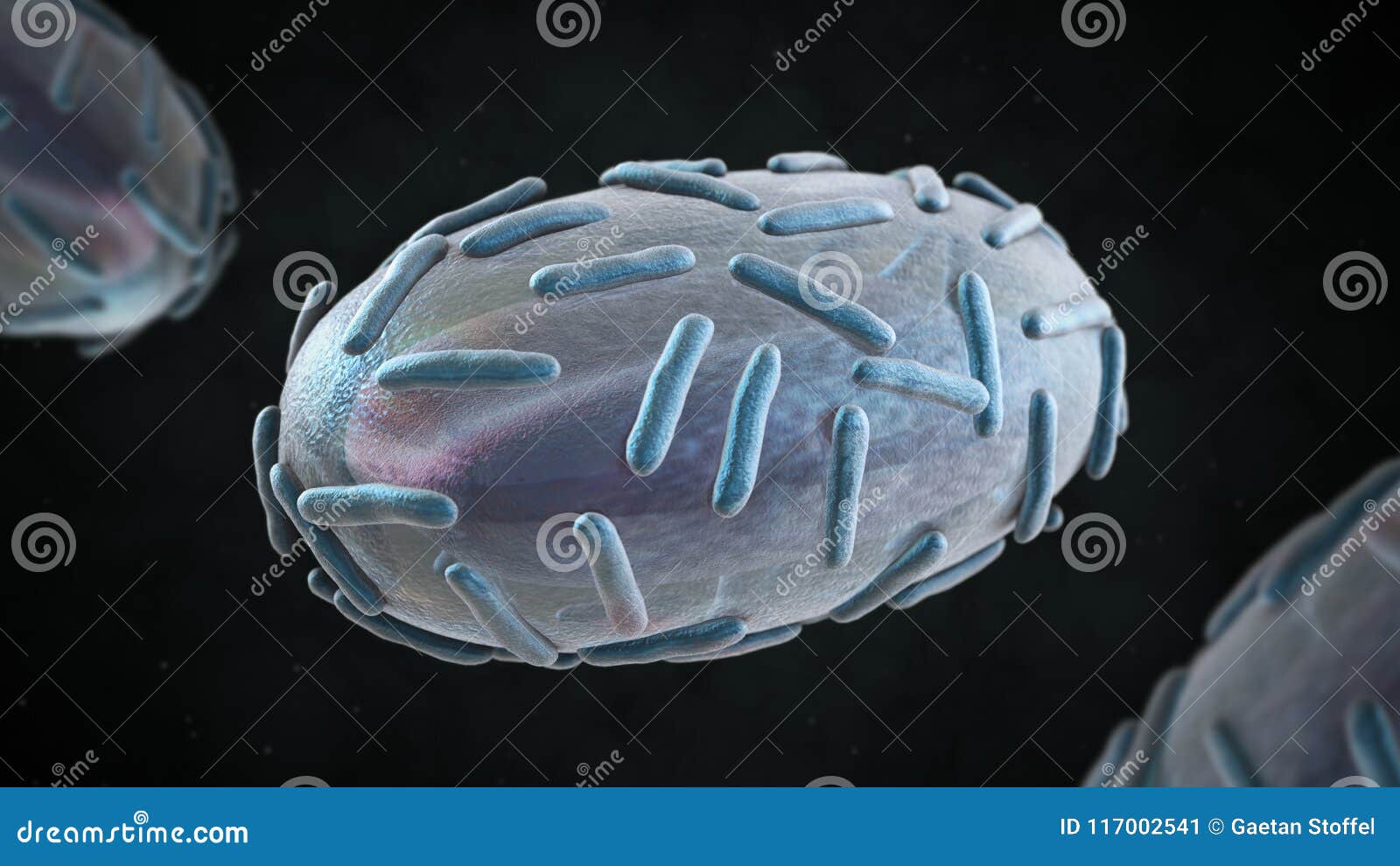 3D Illustration of Smallpox Virus Stock Illustration - Illustration of ...