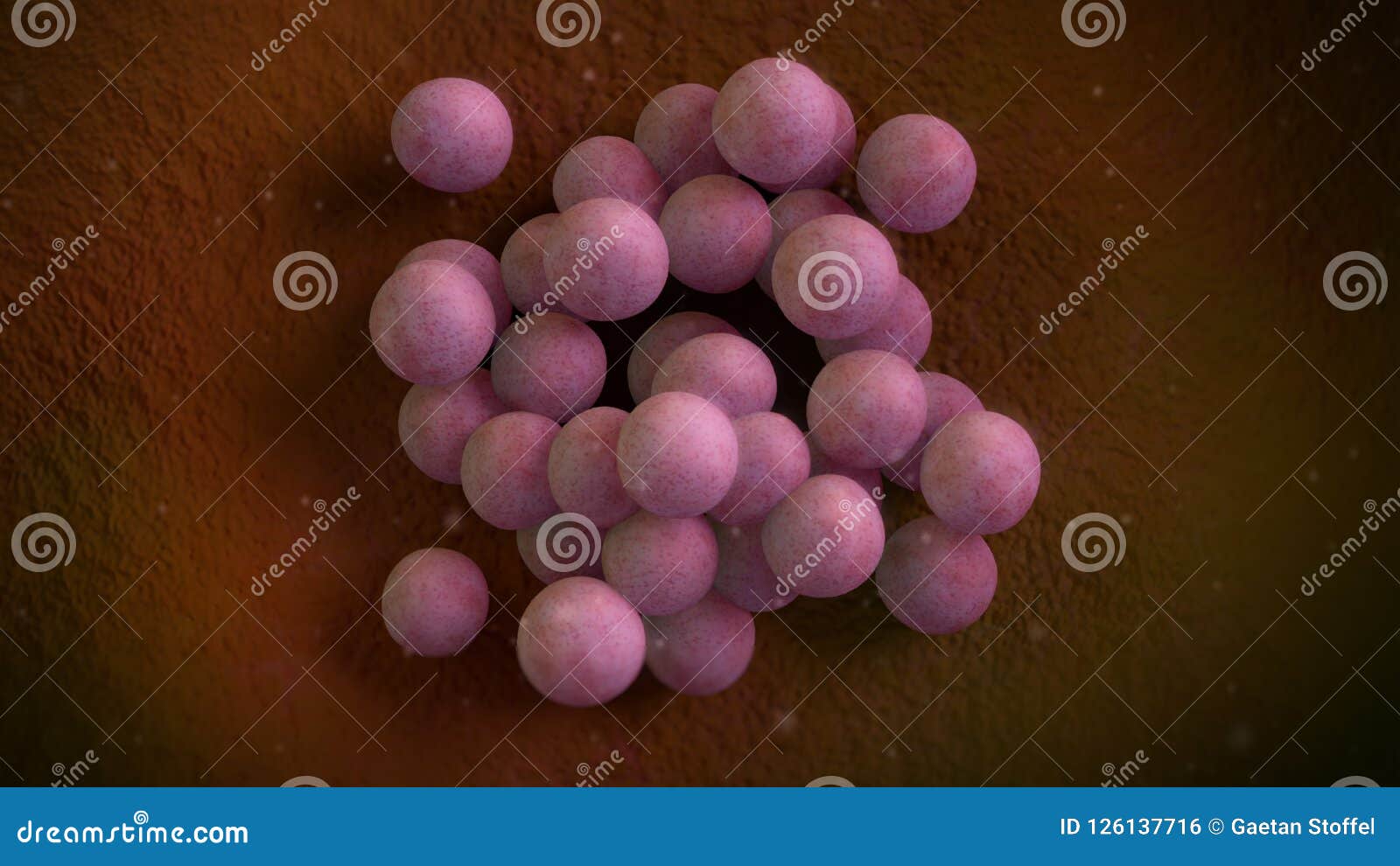 3D Illustration of a Staphylococcus Aureus Bacteria Stock Illustration ...