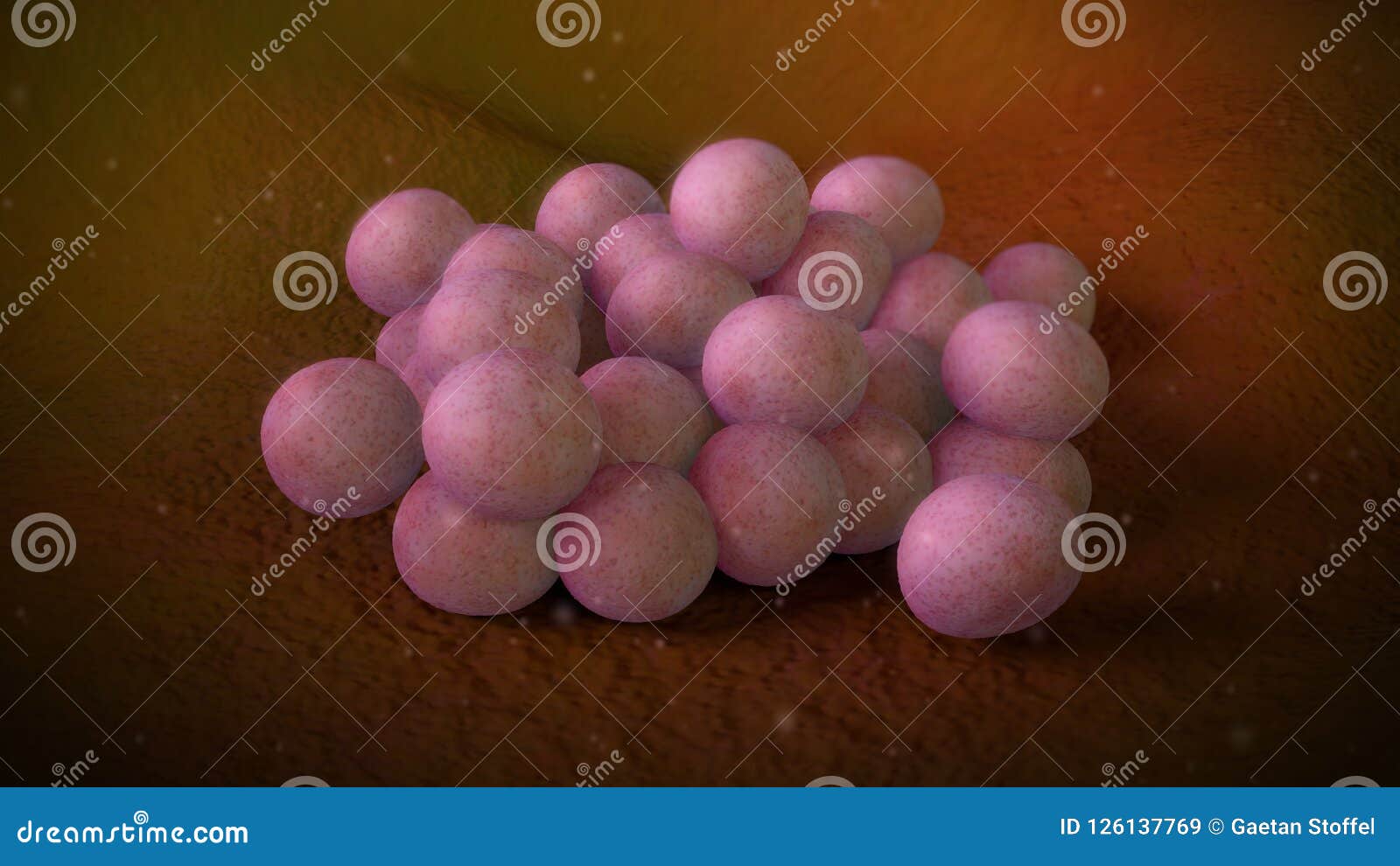 3D Illustration of a Staphylococcus Aureus Bacteria Stock Illustration ...
