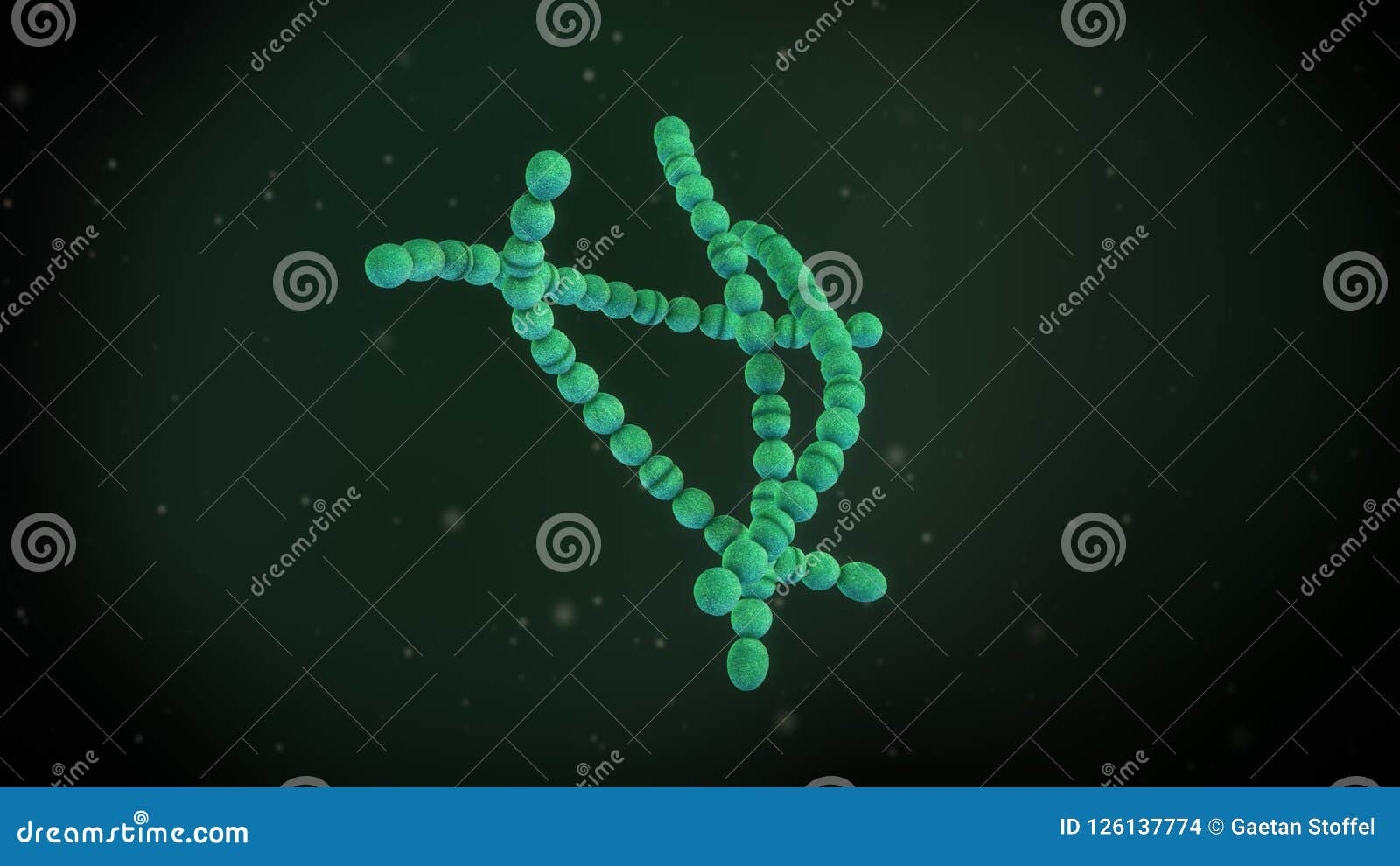 3D Illustration Of A Streptococcus Pyogenes Bacteria Stock Illustration ...