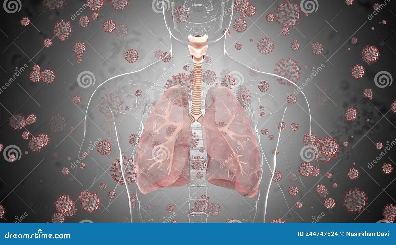 Computer Generated Human Anatomy of Inhaling and Exhaling Air into the ...