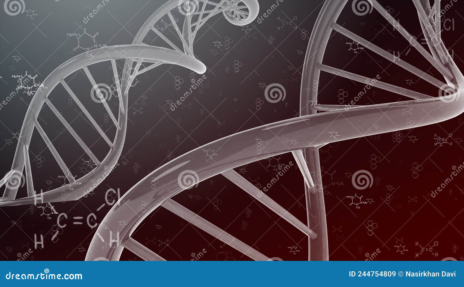 Computer Generated Human DAN System Anatomy Stock Illustration ...