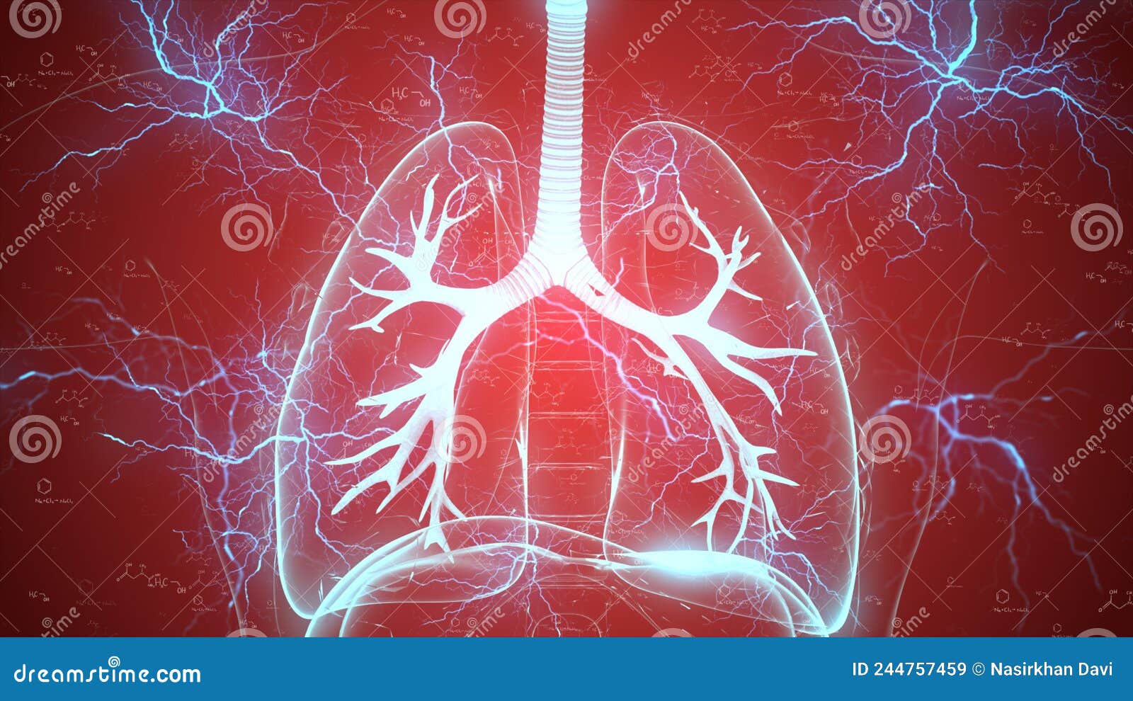 Computer Generated Human Lungs System Anatomy Stock Illustration ...
