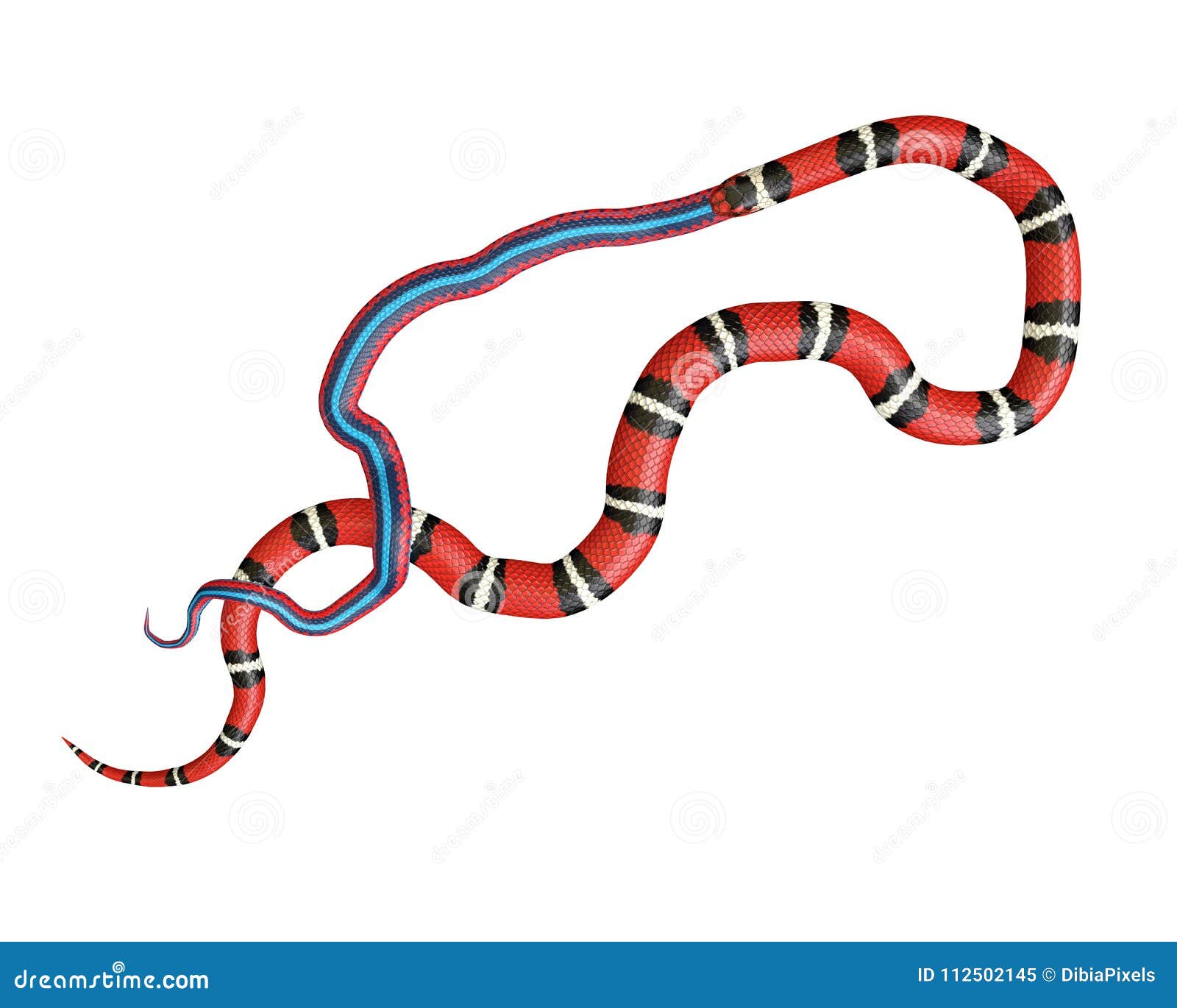 Snake California Kingsnake Cartoon Background Seamless Wallpaper Vector ...