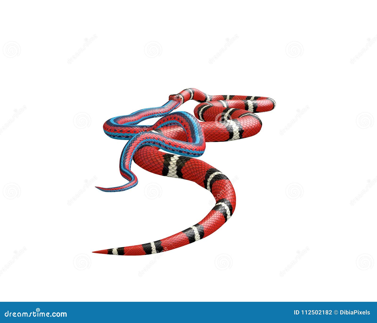 Blue And Red Snake