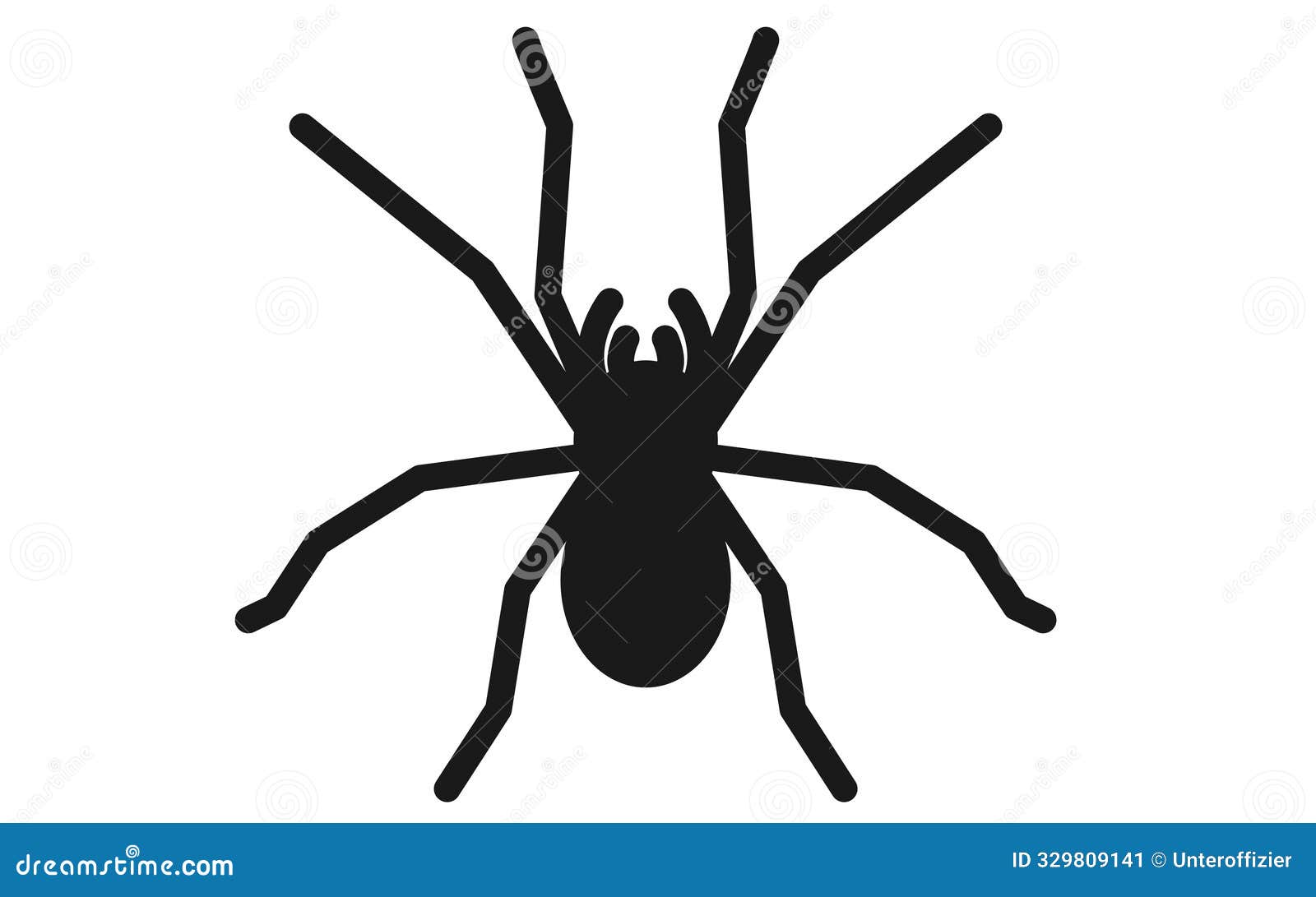 One Single Bold All Black Spider Outline Shape Silhouette Set Against a ...