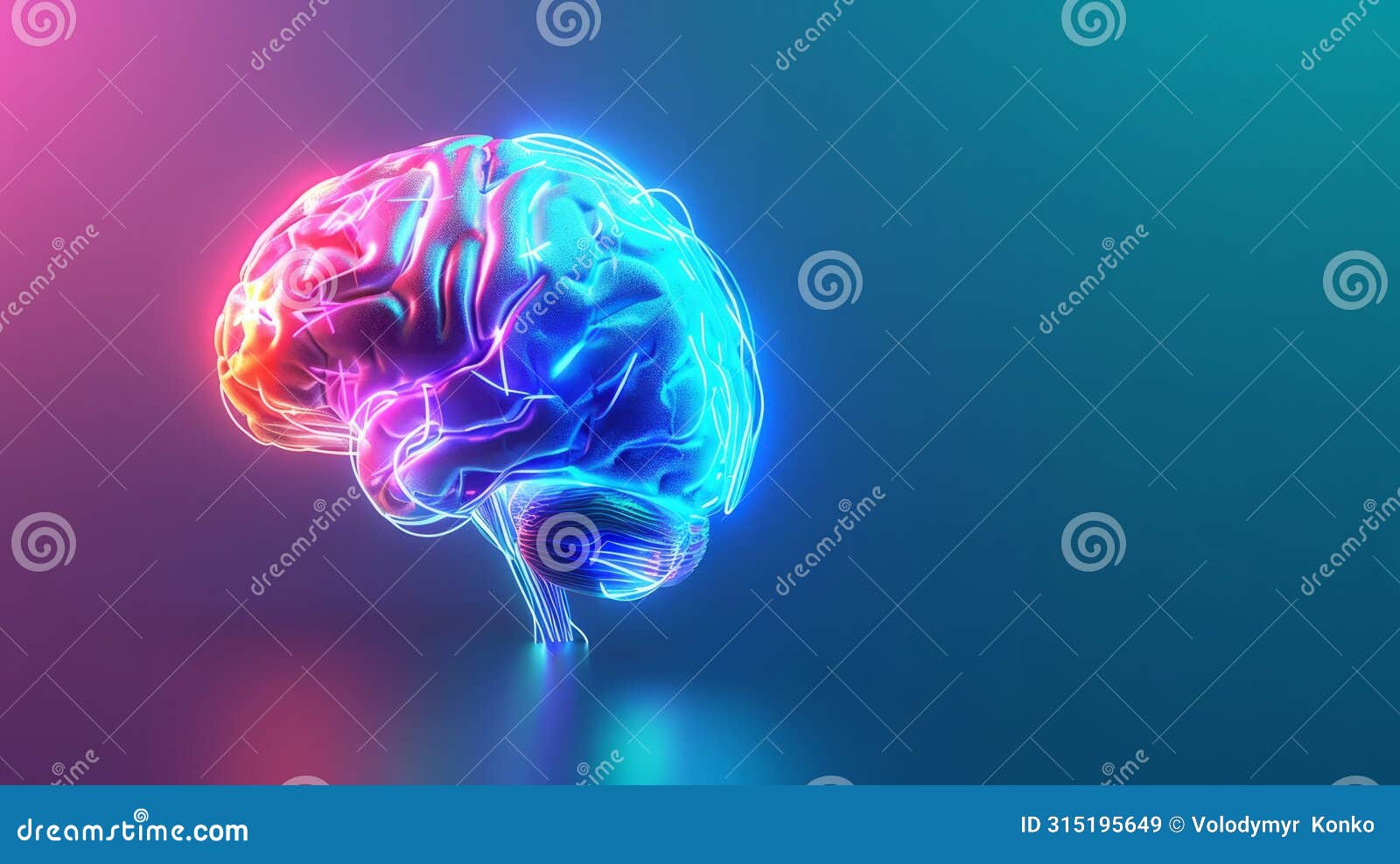 Computer Generated Image of a Human Brain Revealing Detailed Structure ...