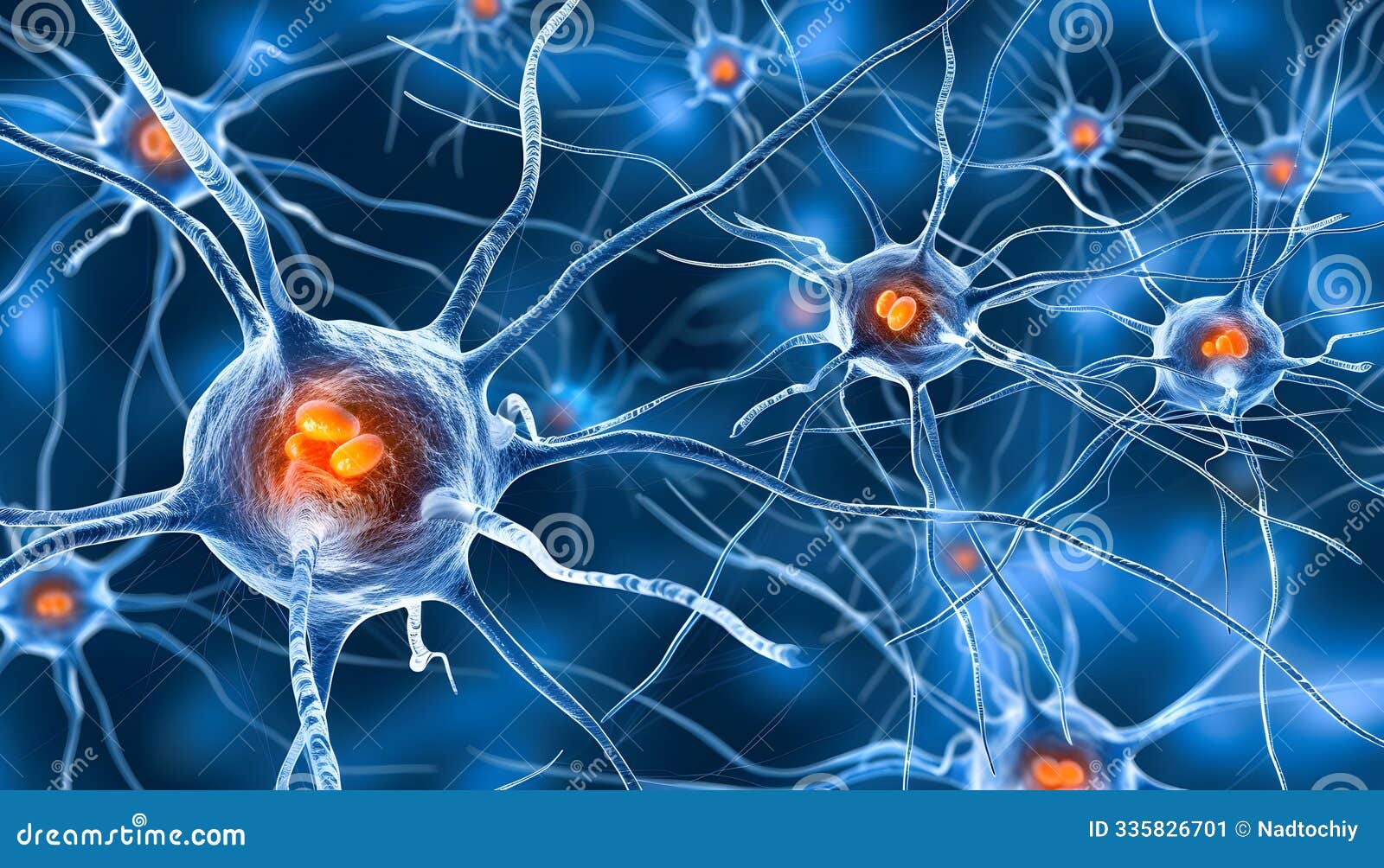 A Computer Generated Image of a Network of Nerve Cells Stock Image ...