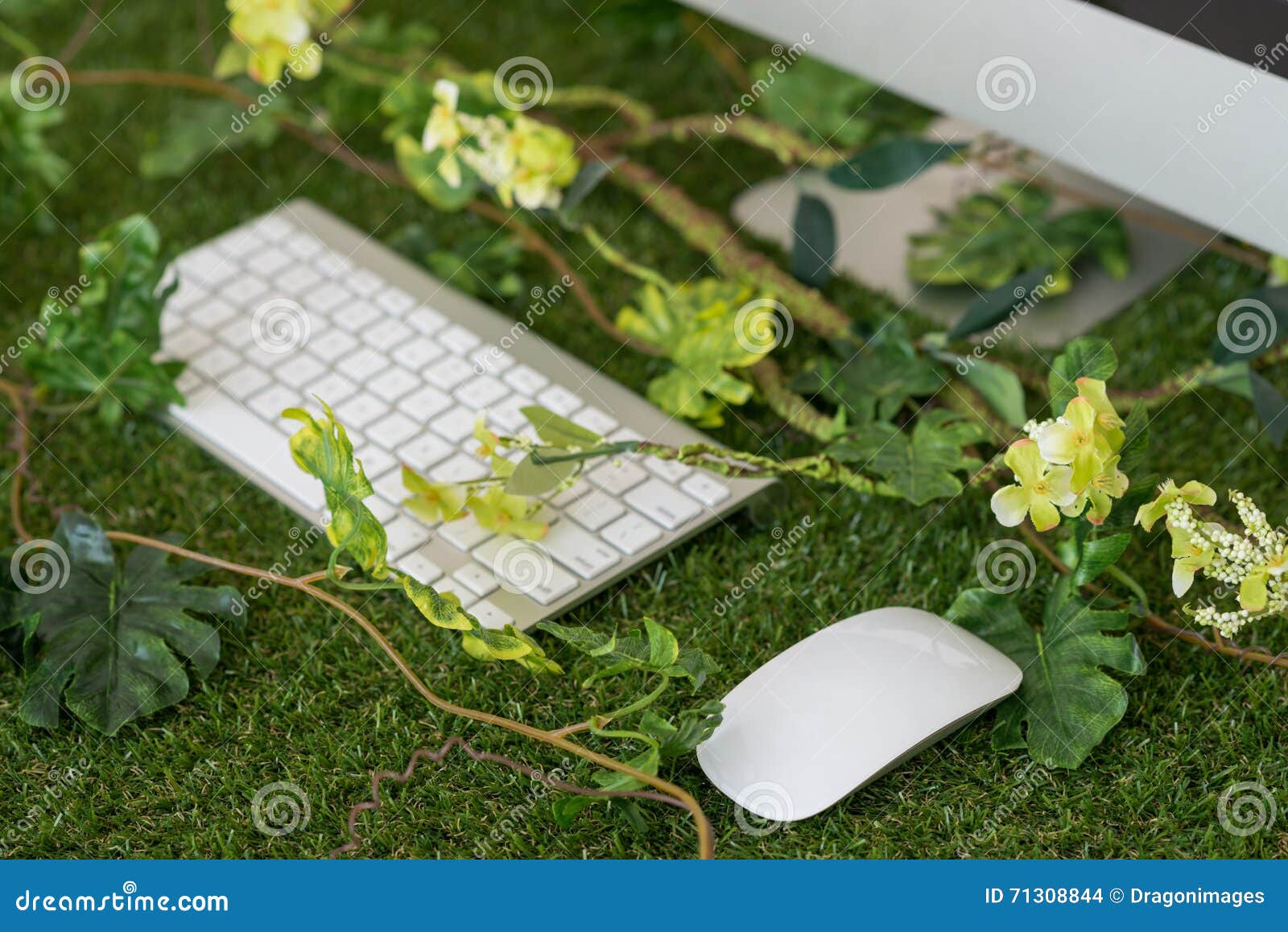 Computer on grass stock photo. Image of biophilic, stilllife - 71308844