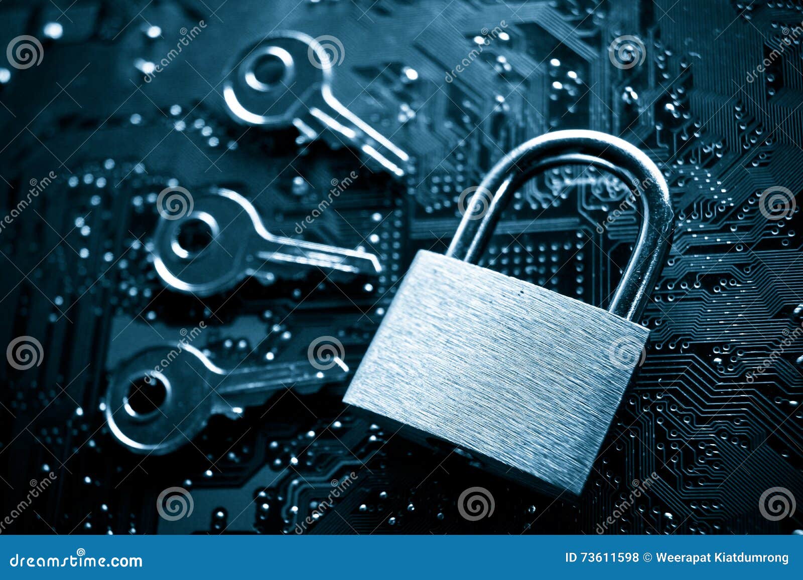 Computer hacking stock photo. Image of protection, privacy - 73611598