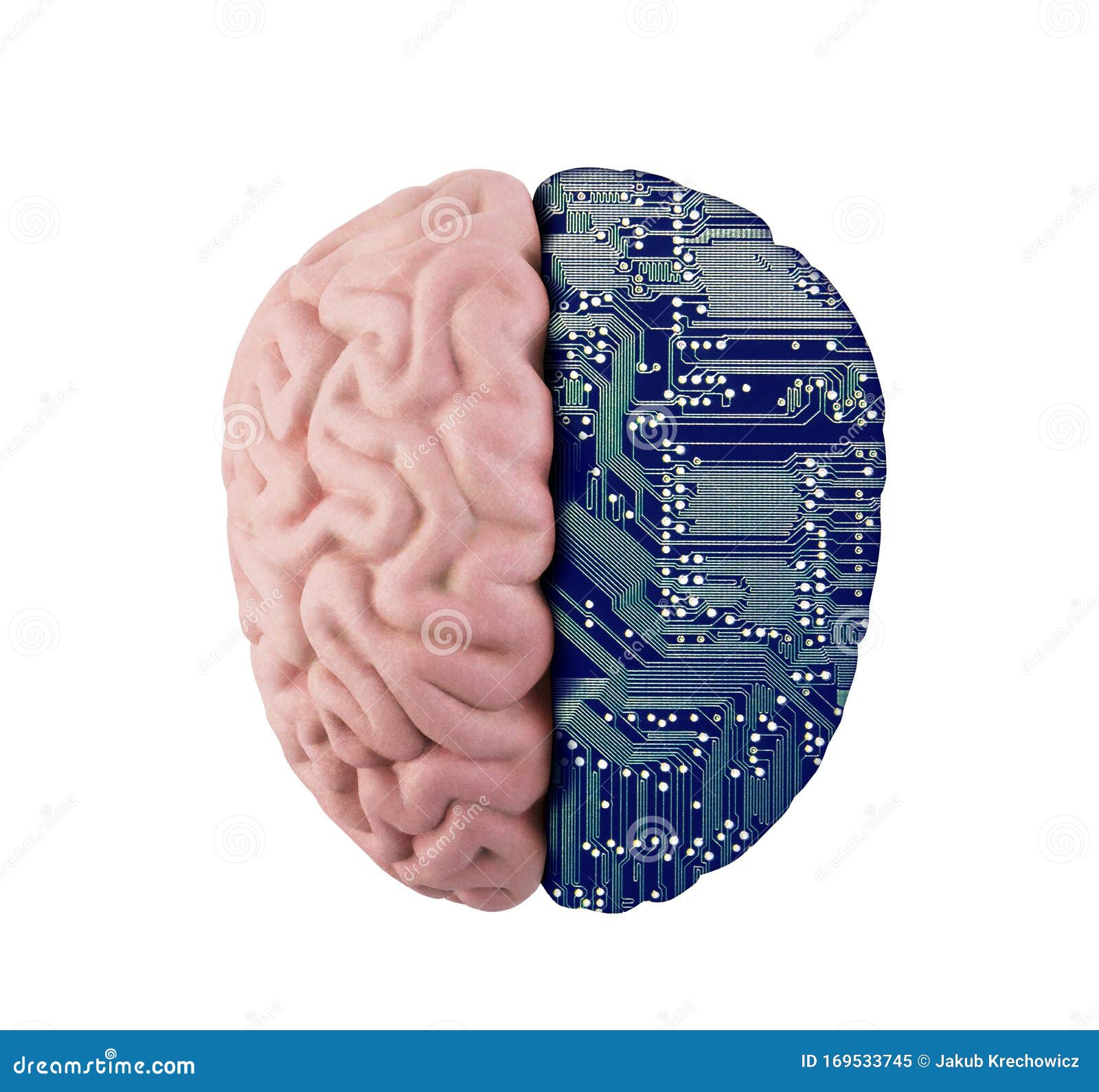 Computer Human Brain Isolated on White Stock Image - Image of board ...