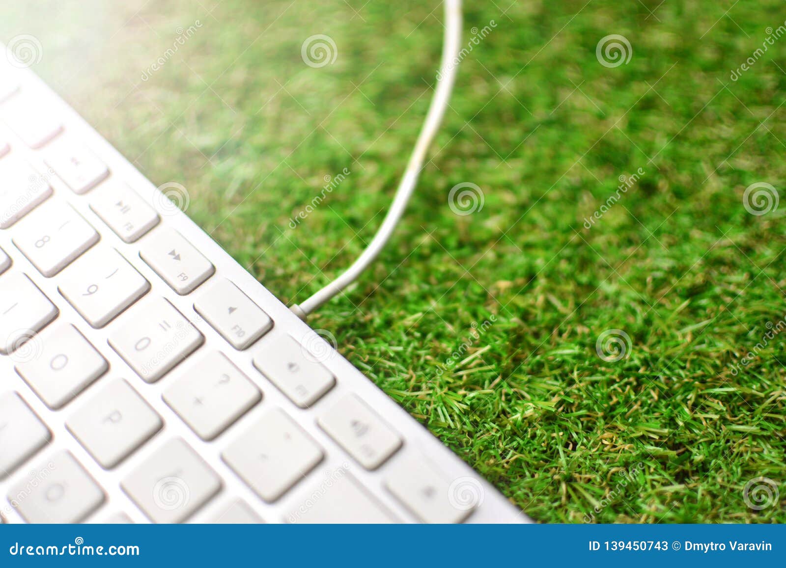 Computer Keyboard on a Green Grass. Work in Nature and in Calm Concept ...