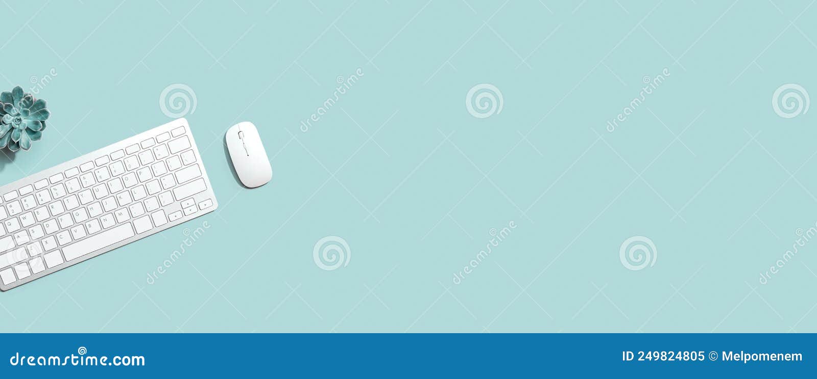 Computer Keyboard and Mouse from Above Stock Image - Image of succulent ...