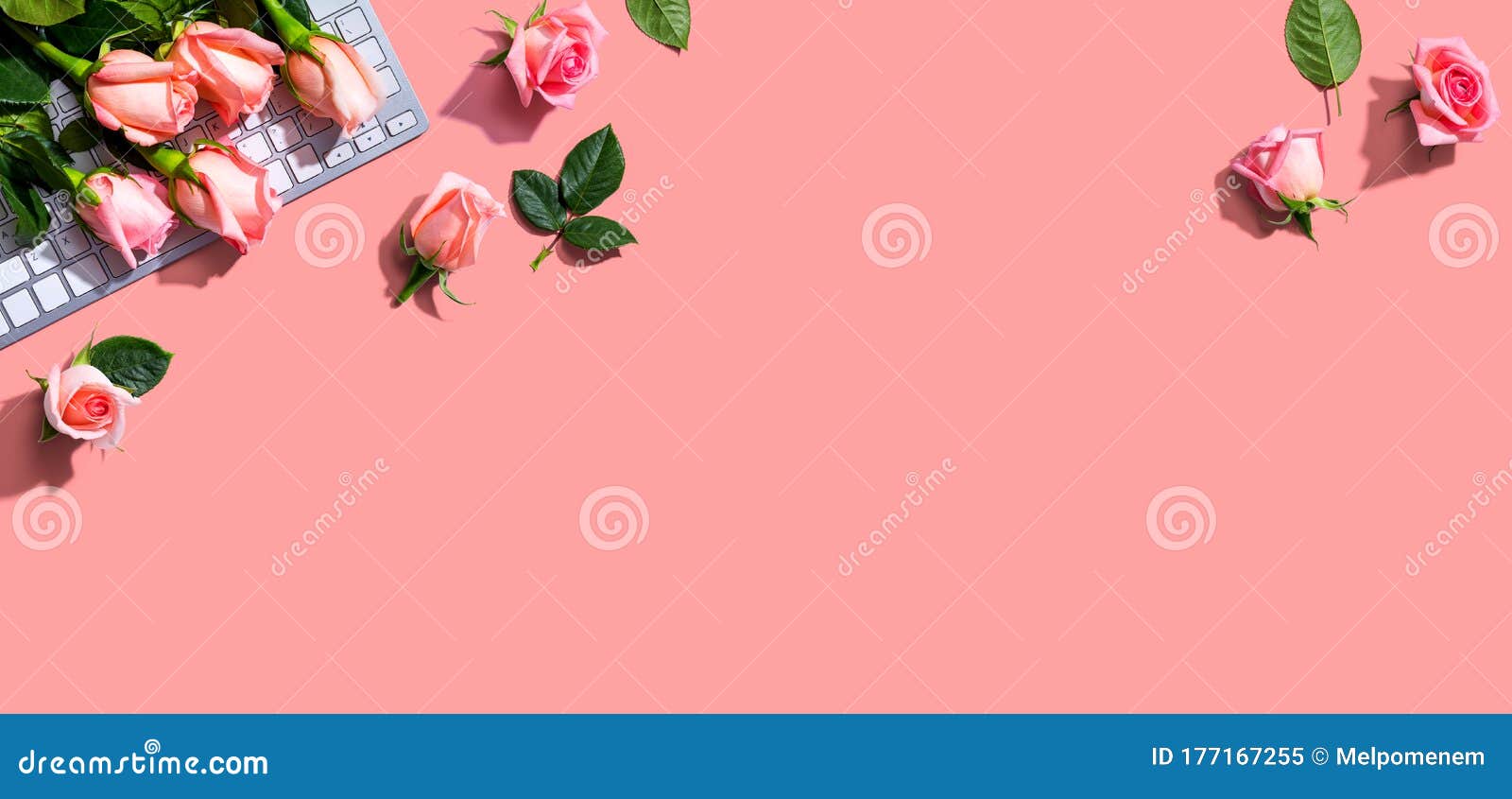 Computer Keyboard with Pink Roses Stock Image - Image of table ...