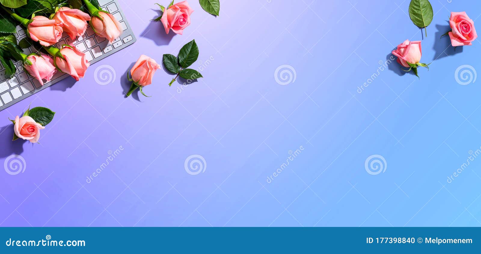 Computer Keyboard with Pink Roses Stock Photo - Image of purple, space ...