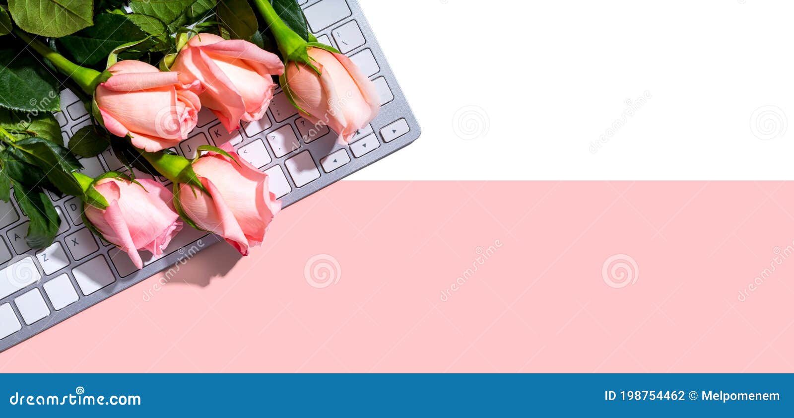 Computer Keyboard with Pink Roses Stock Photo - Image of overhead, rose ...