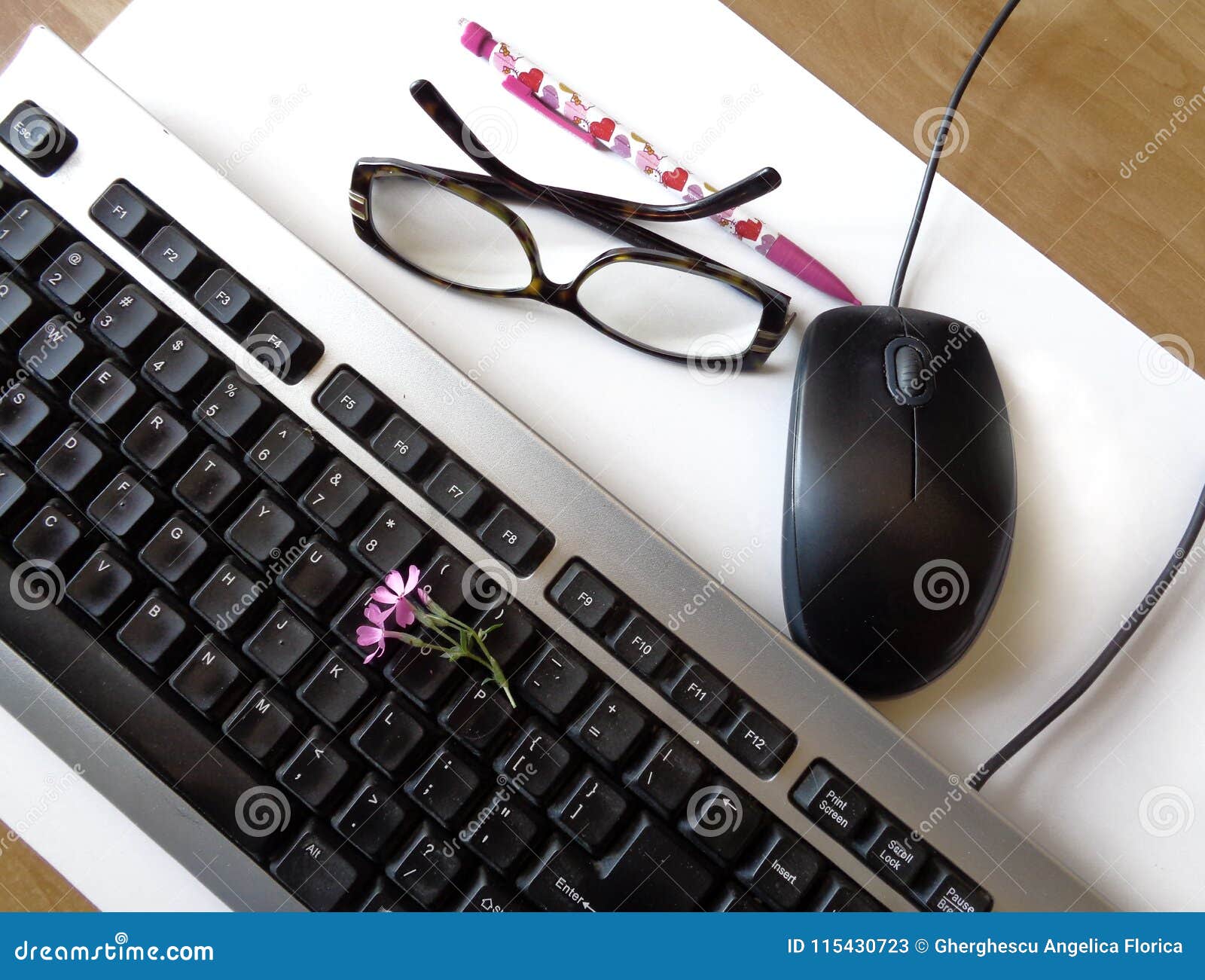 Computer Keyboard with Pink Spring Flower, Mouse Stock Image - Image of ...
