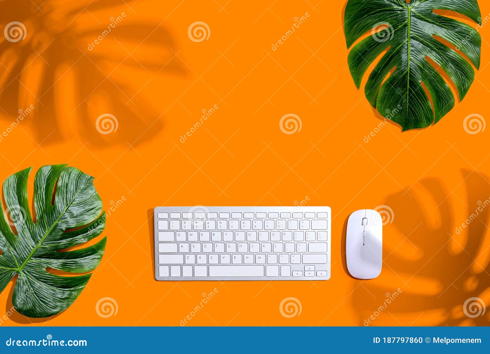 Computer Keyboard with Tropical Leaves and Shadow Stock Photo - Image ...