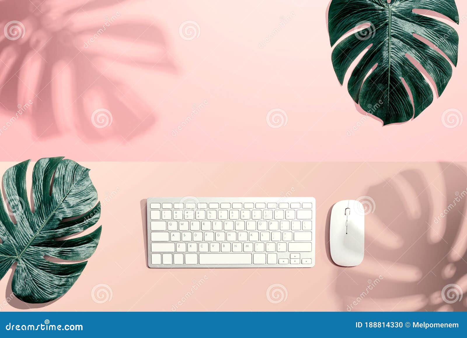 Computer Keyboard with Tropical Leaves and Shadow Stock Photo - Image ...