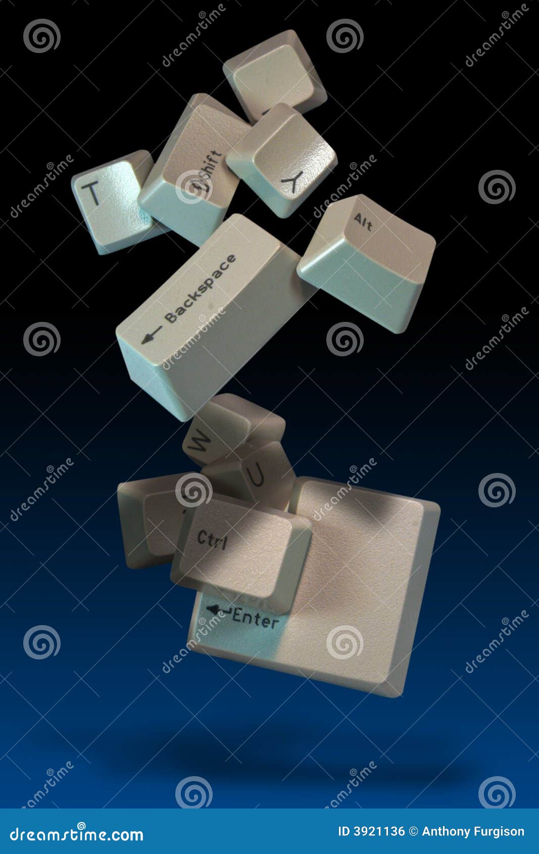 Computer keys stock photo. Image of application, device - 3921136