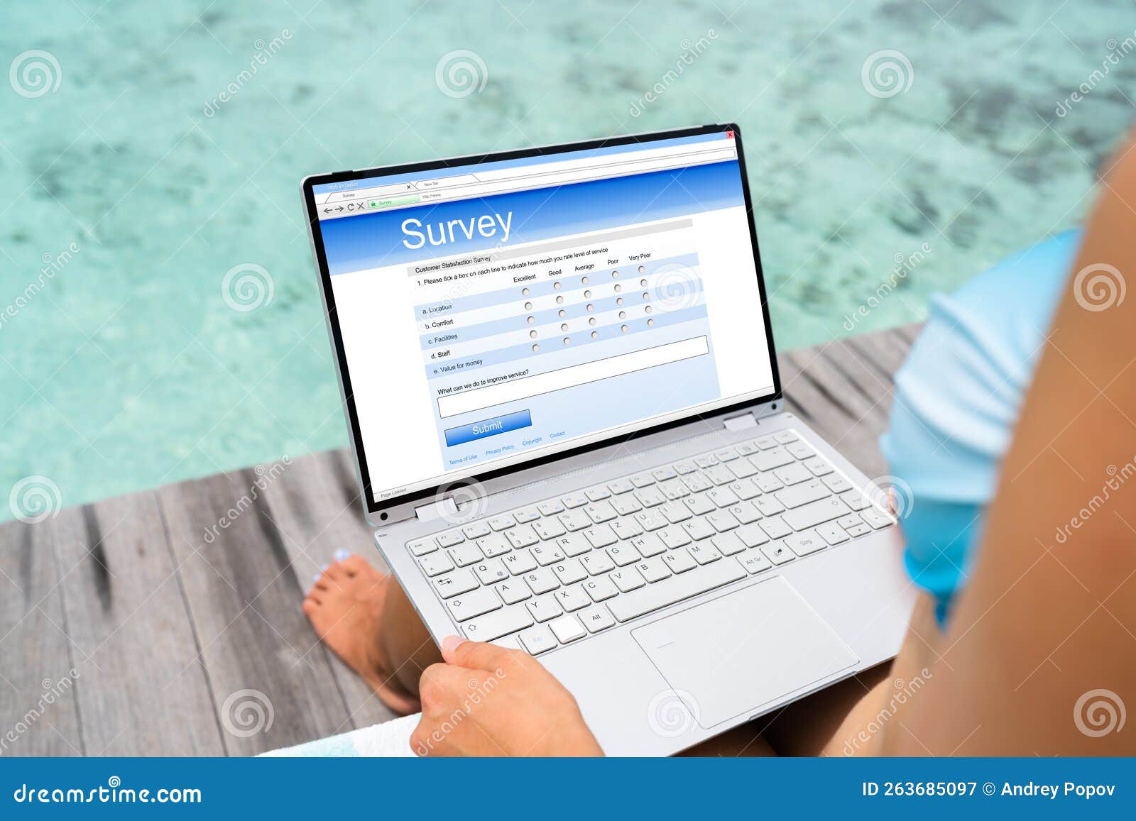 Computer Survey Royalty-Free Stock Photography | CartoonDealer.com ...