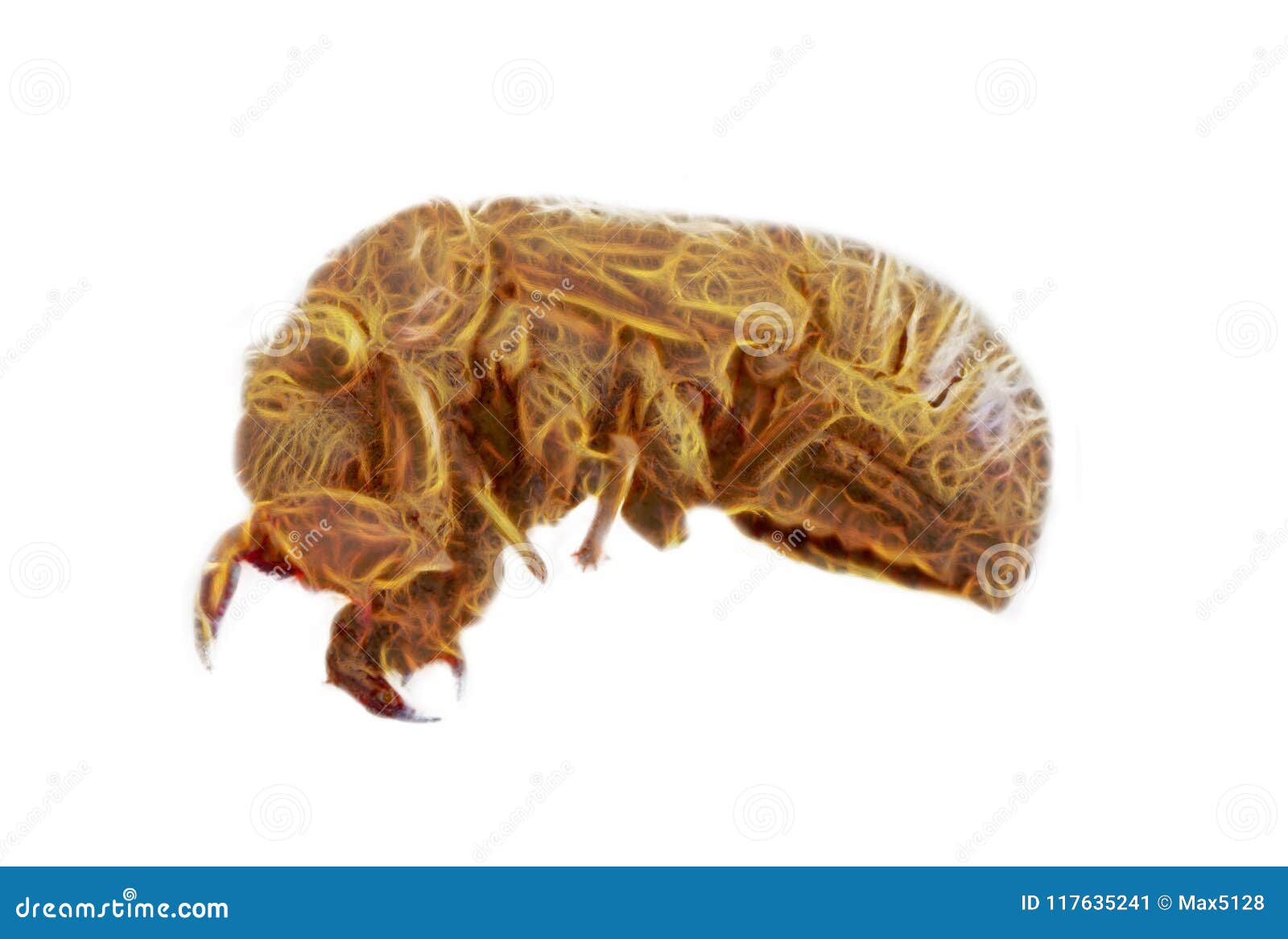 Computer Lice. Concept of Destructive Computer Contaminant Stock Image ...