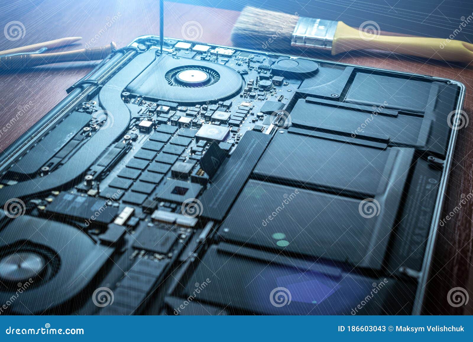 Computer Macro Technician Engineer Service. Electronic Hardware Repair ...