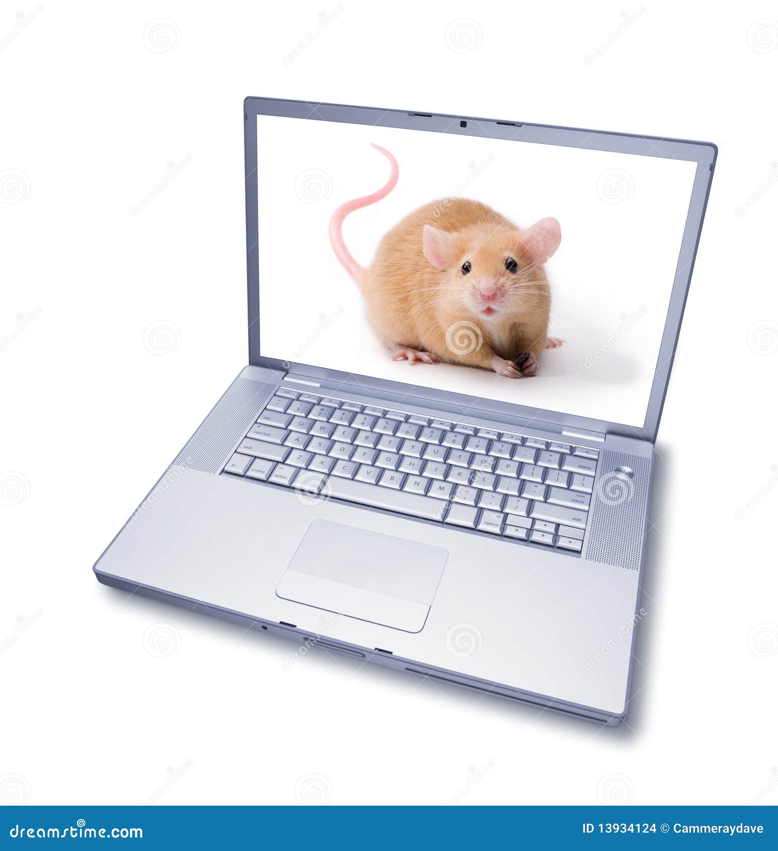 Computer-Maus stockfoto. Bild von technologie, computer - 13934124